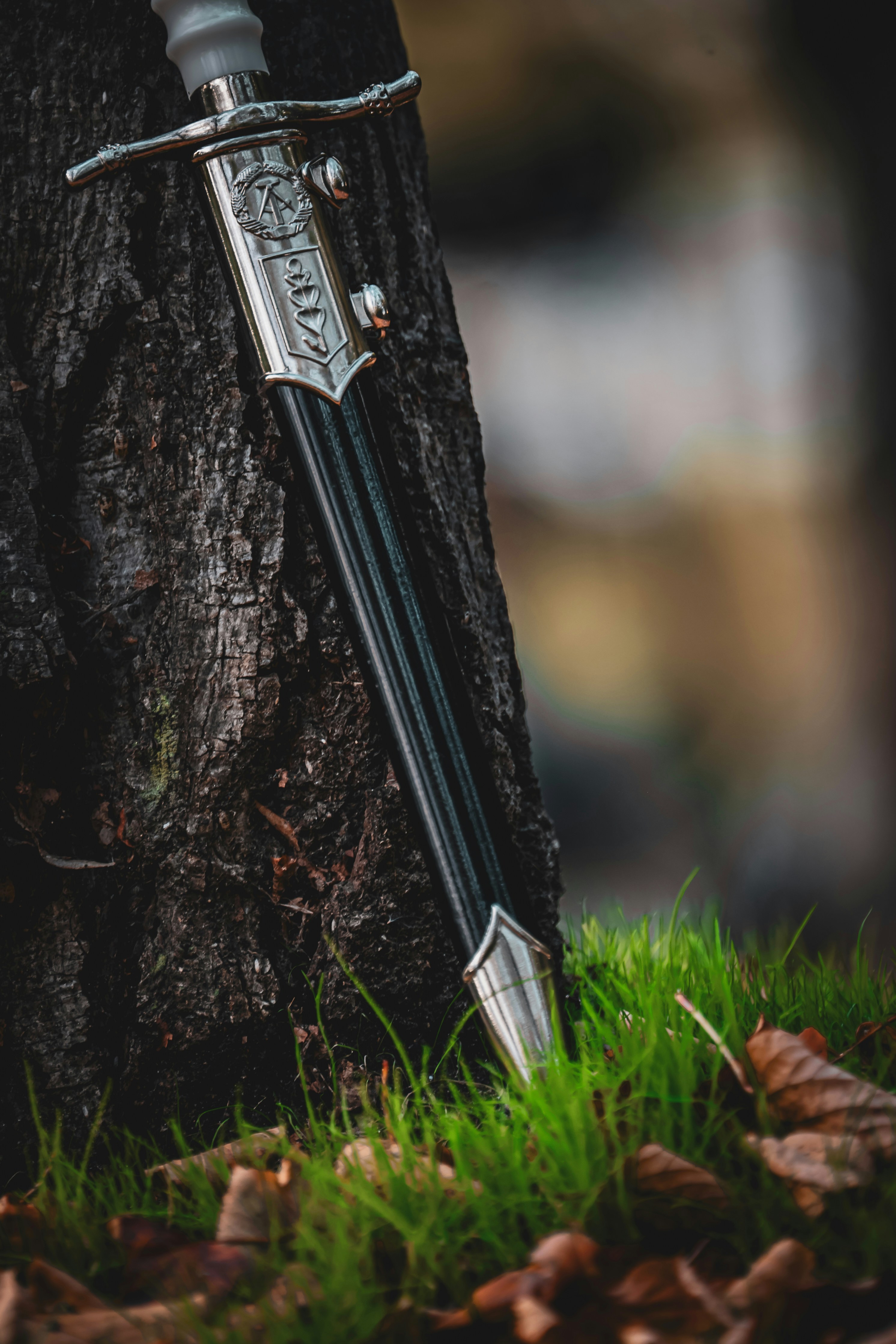 Legacy of Steel: A Sword's Silent Vigil