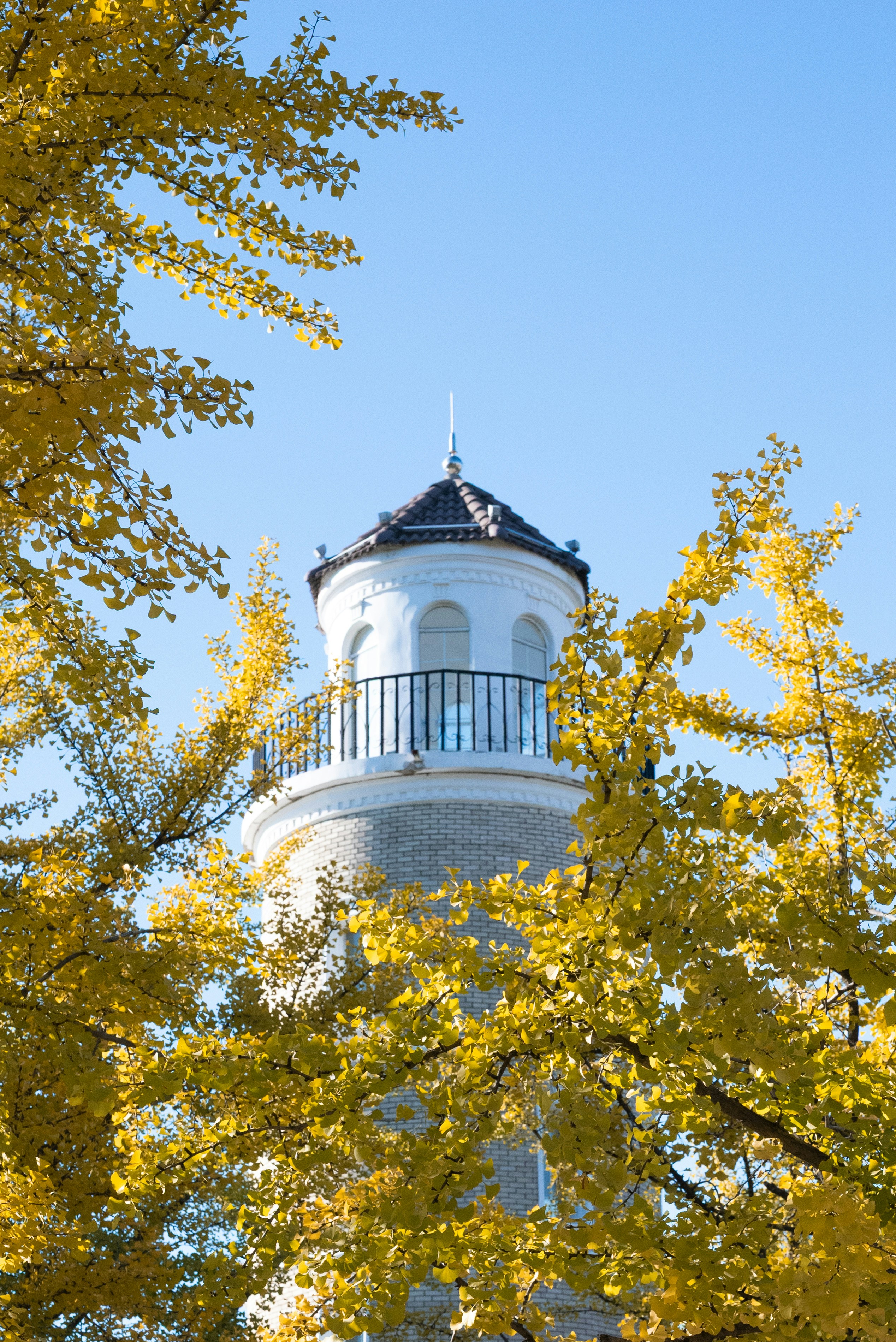 Tower with yellow leaves against blue sky