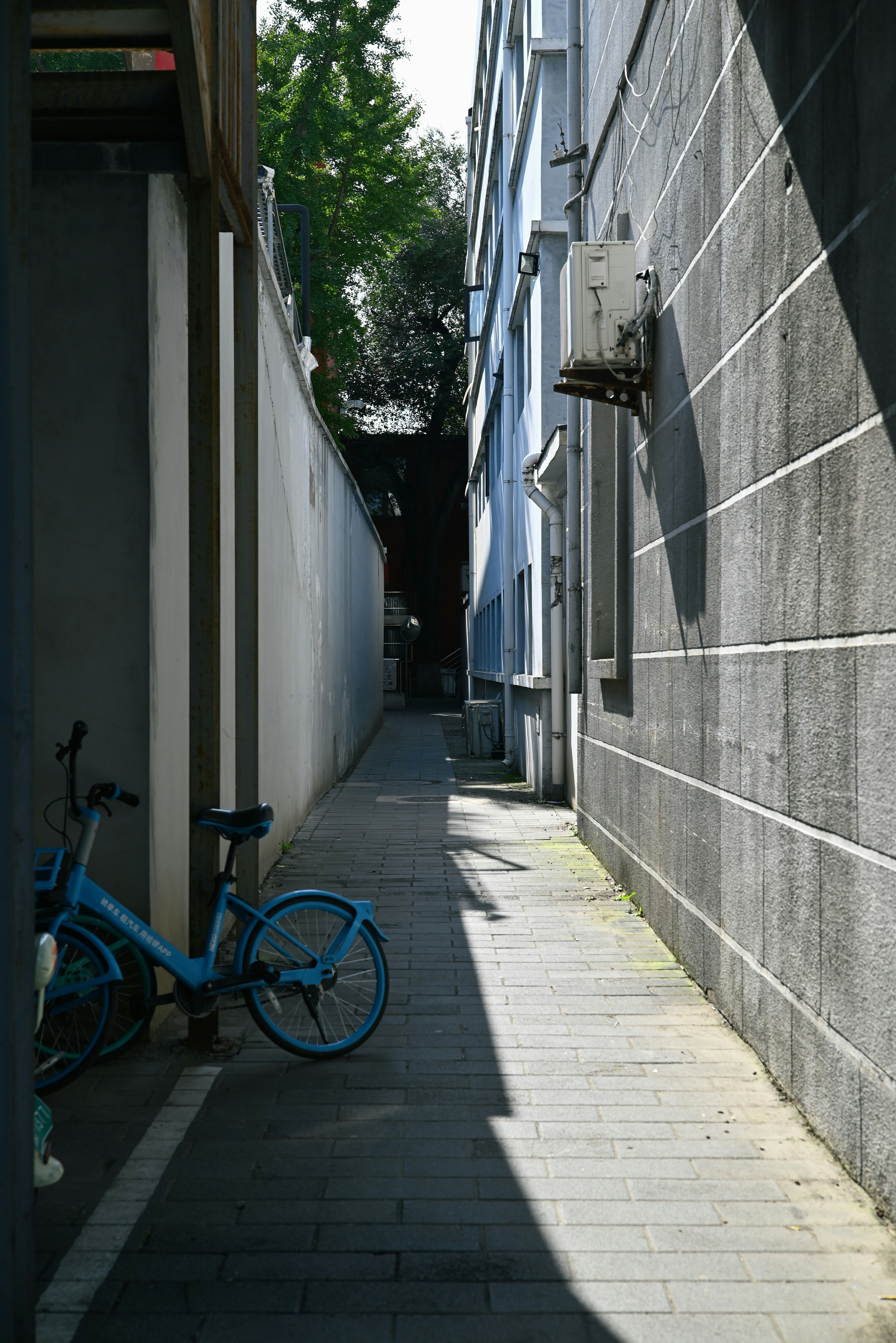 Urban Passageway: A Journey Through Shadows
