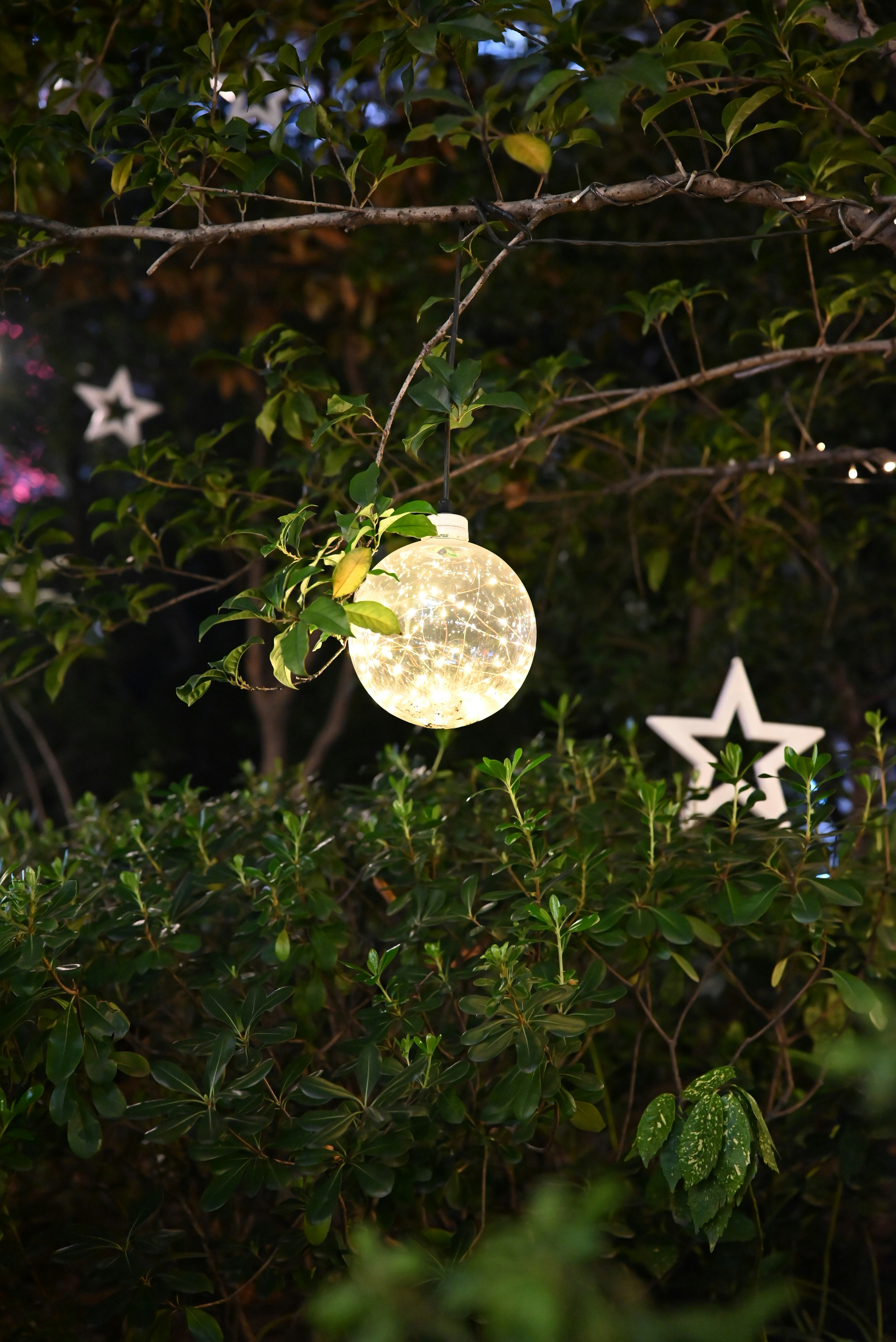 Illuminated Orb Amongst Nature's Embrace