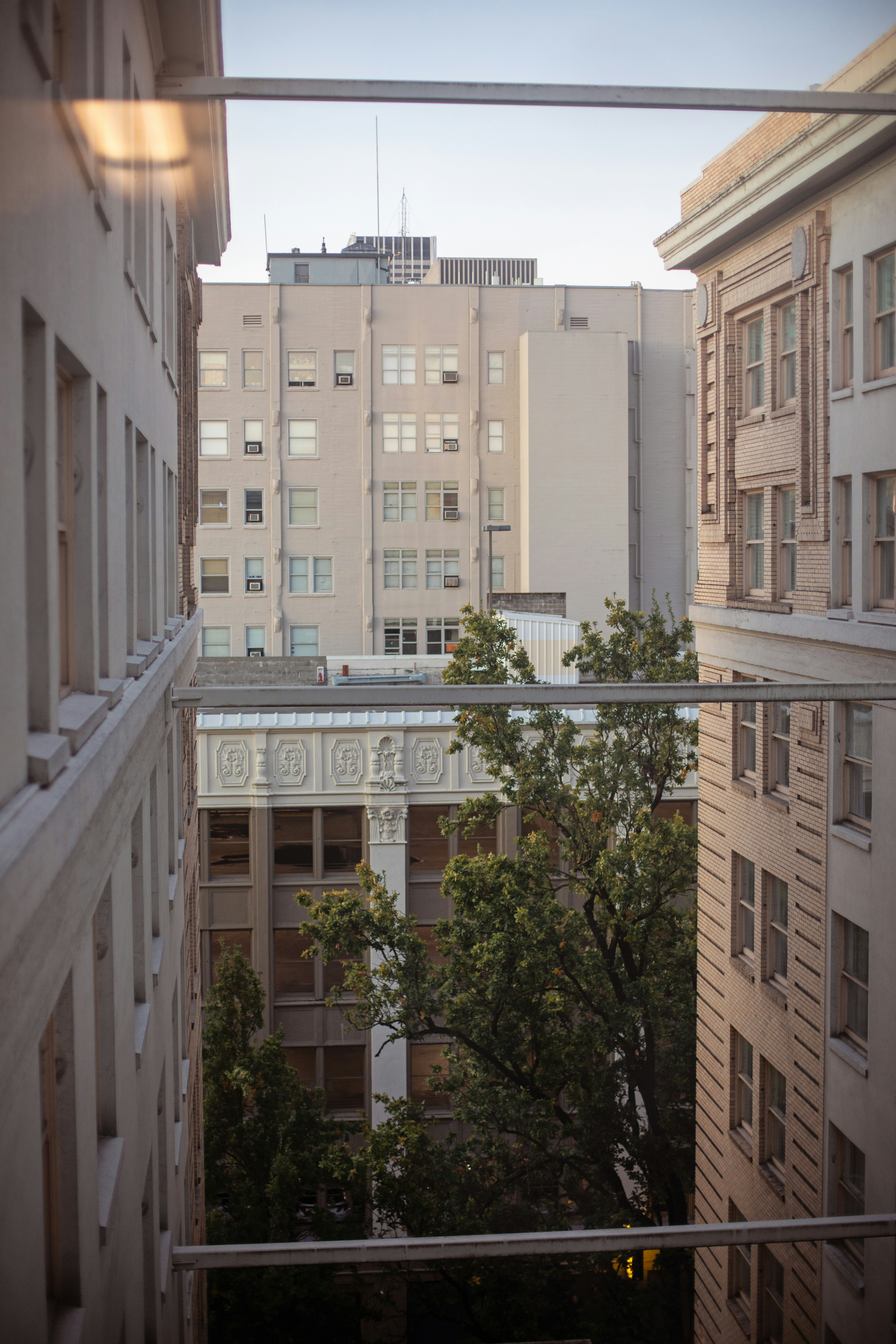 View from a window showcasing a blend of modern and historical architecture with a lush tree in the foreground.