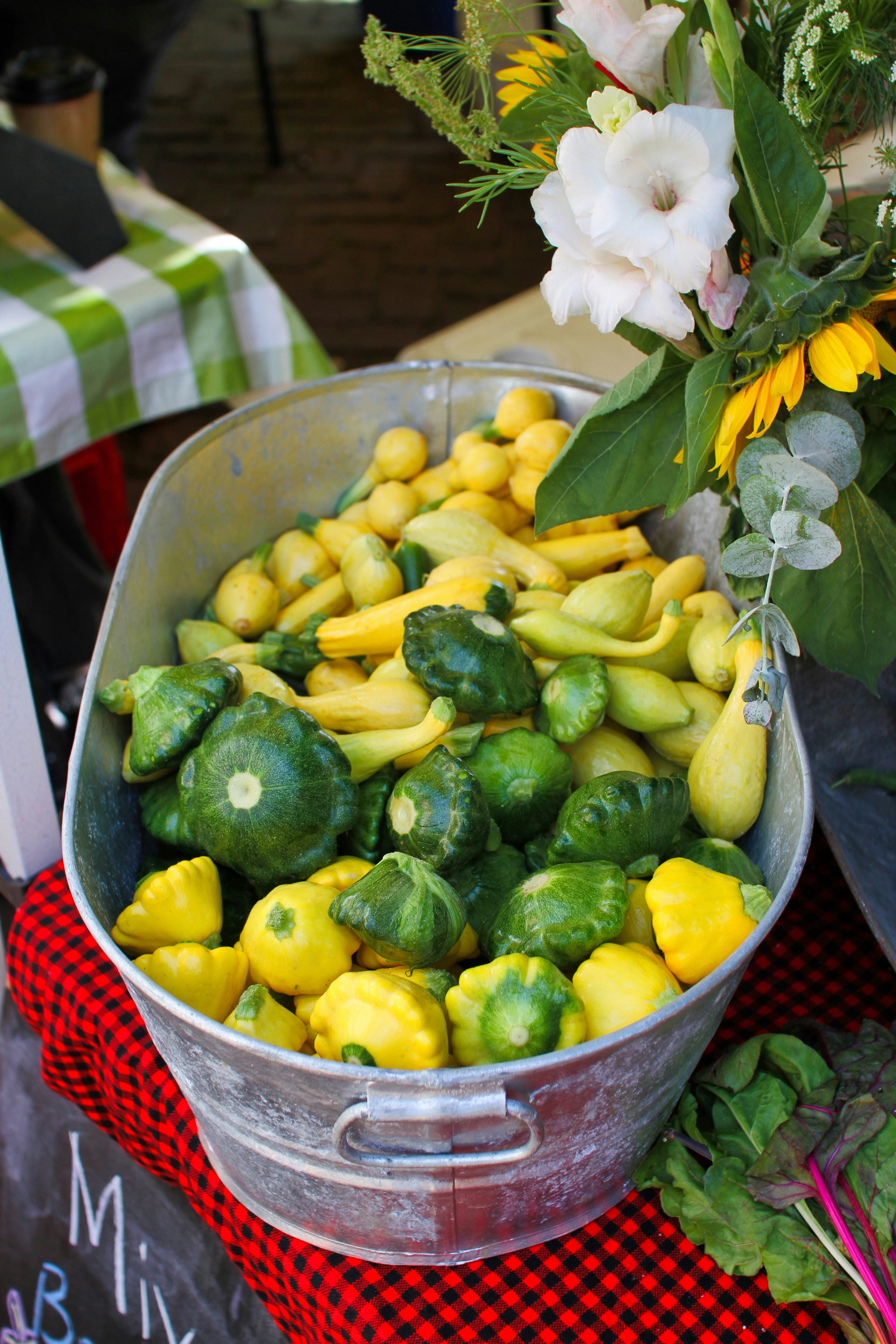 Harvest Harmony: A Bounty of Summer Squash