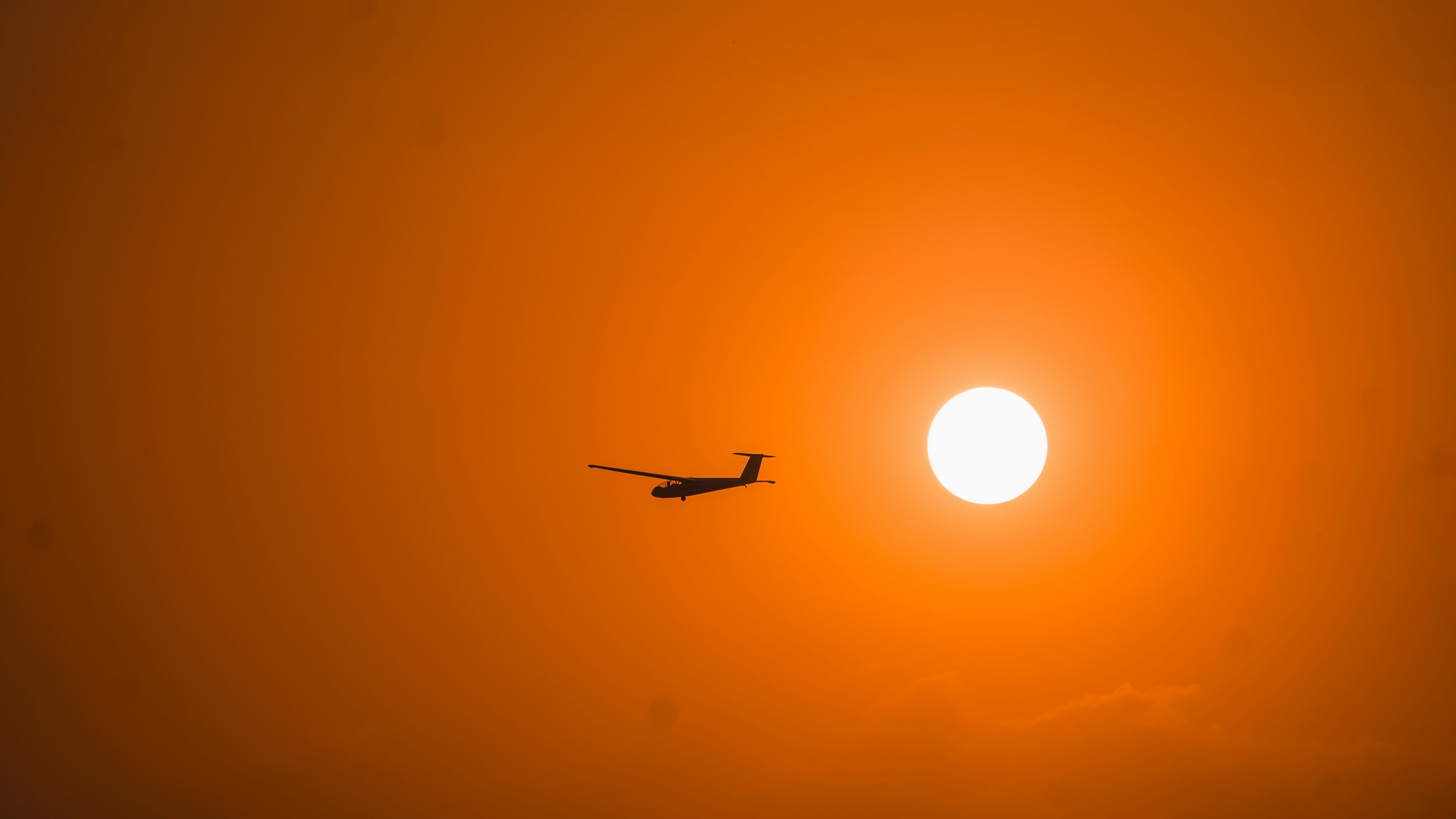 Soaring Through the Golden Horizon