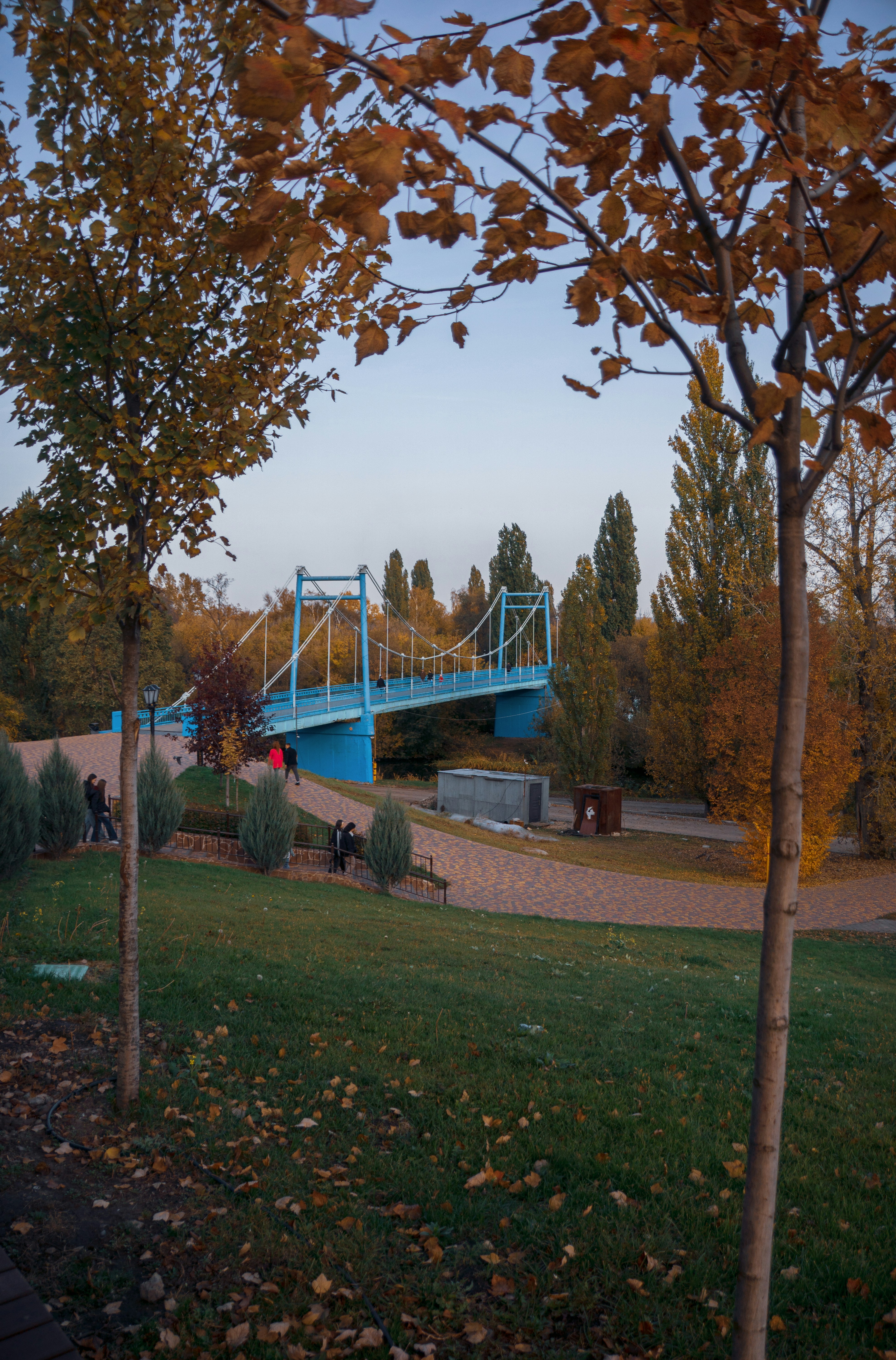 Autumn's Embrace: A Bridge of Serenity