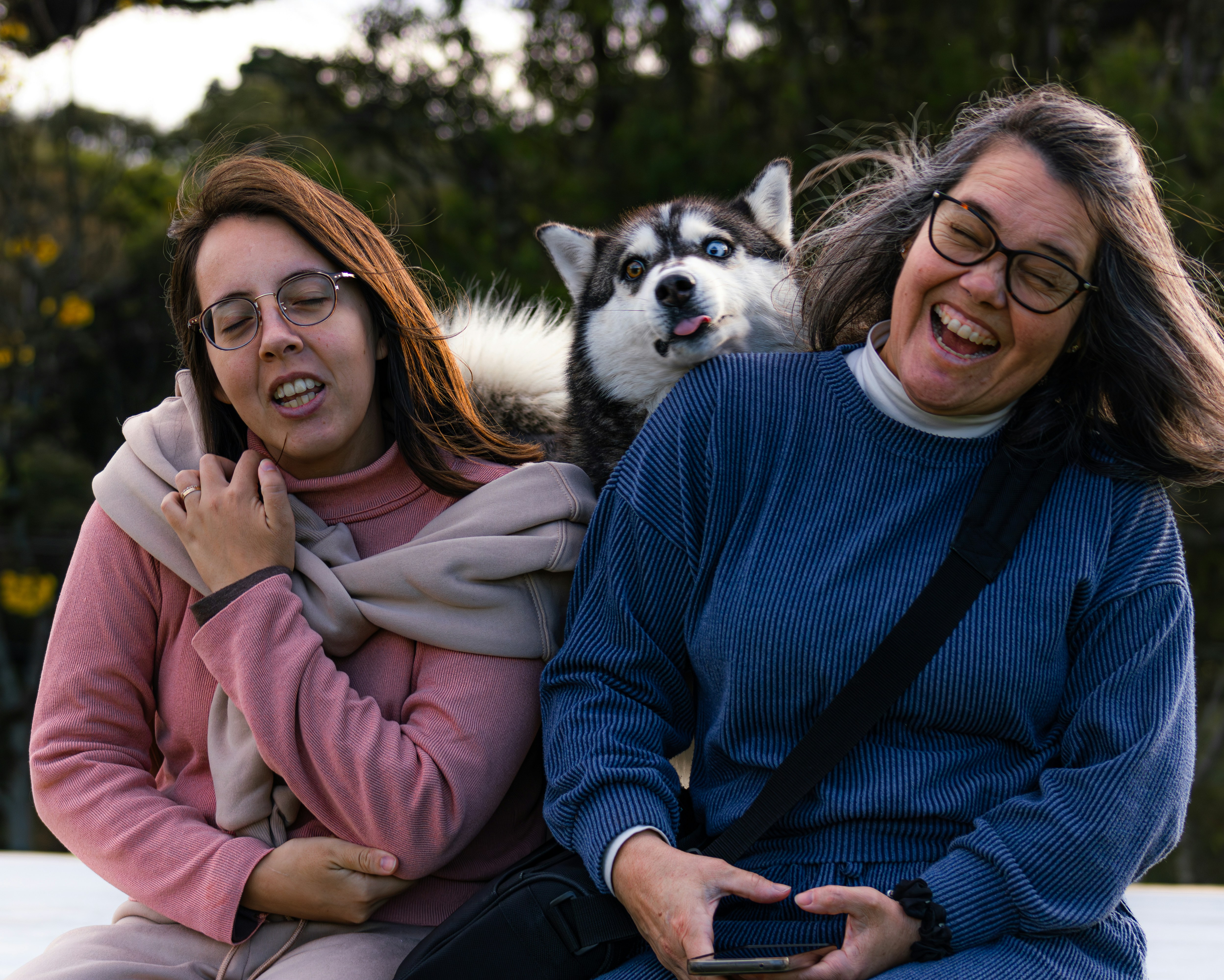 Two women share a laugh while a playful husky peeks from behind, adding a whimsical touch to the scene.