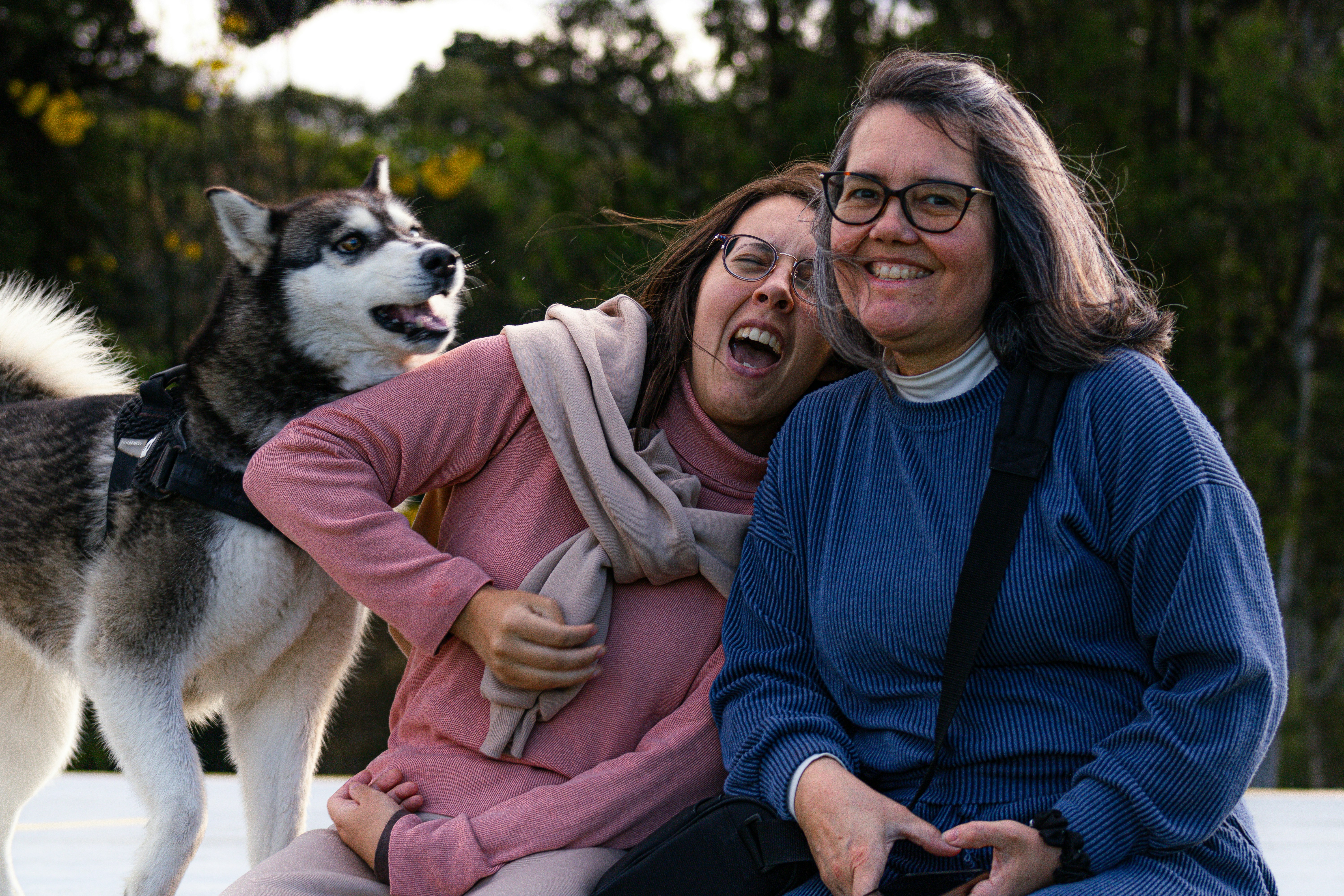 Joyful Moments with Furry Friends