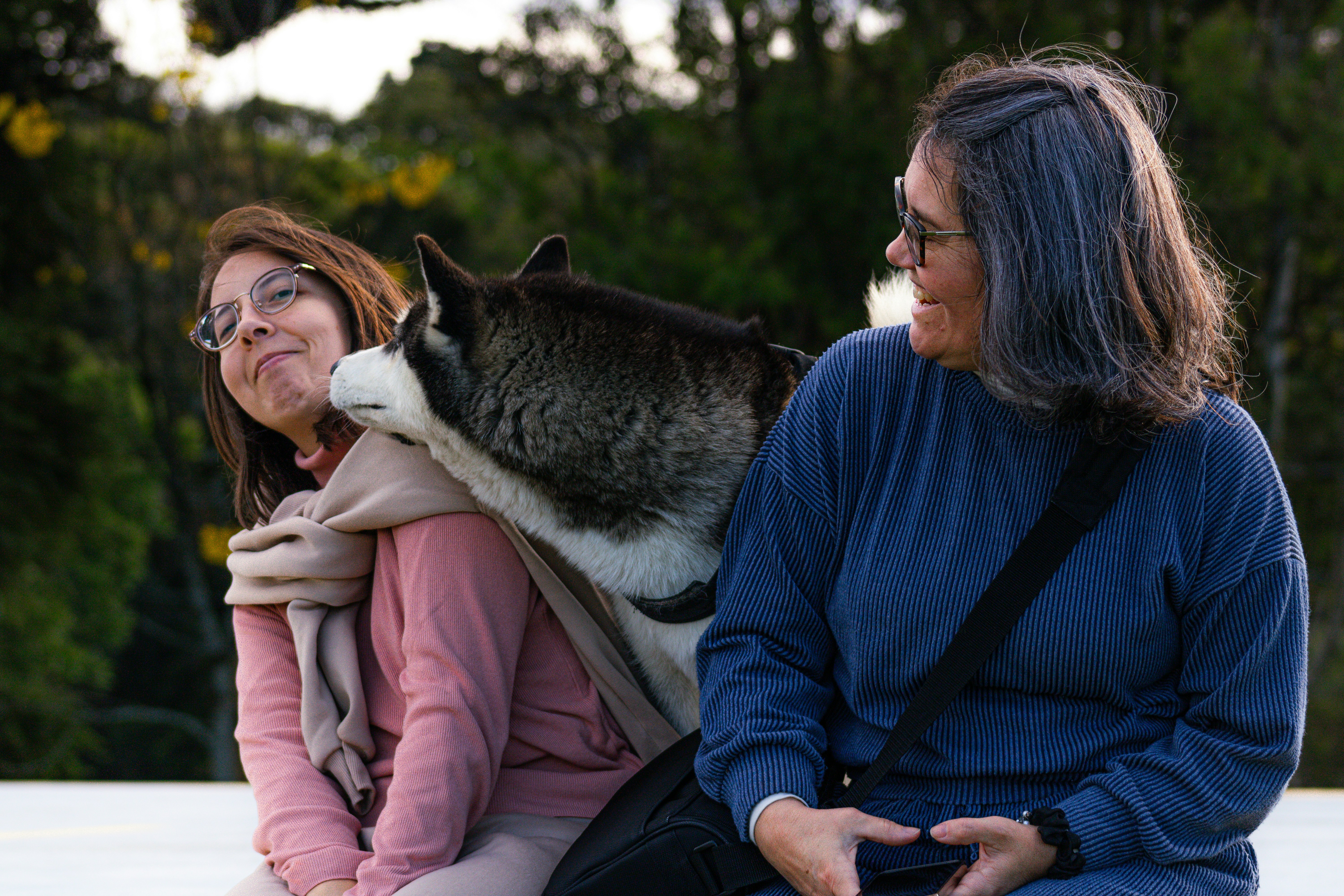 Joyful Moments with a Canine Companion