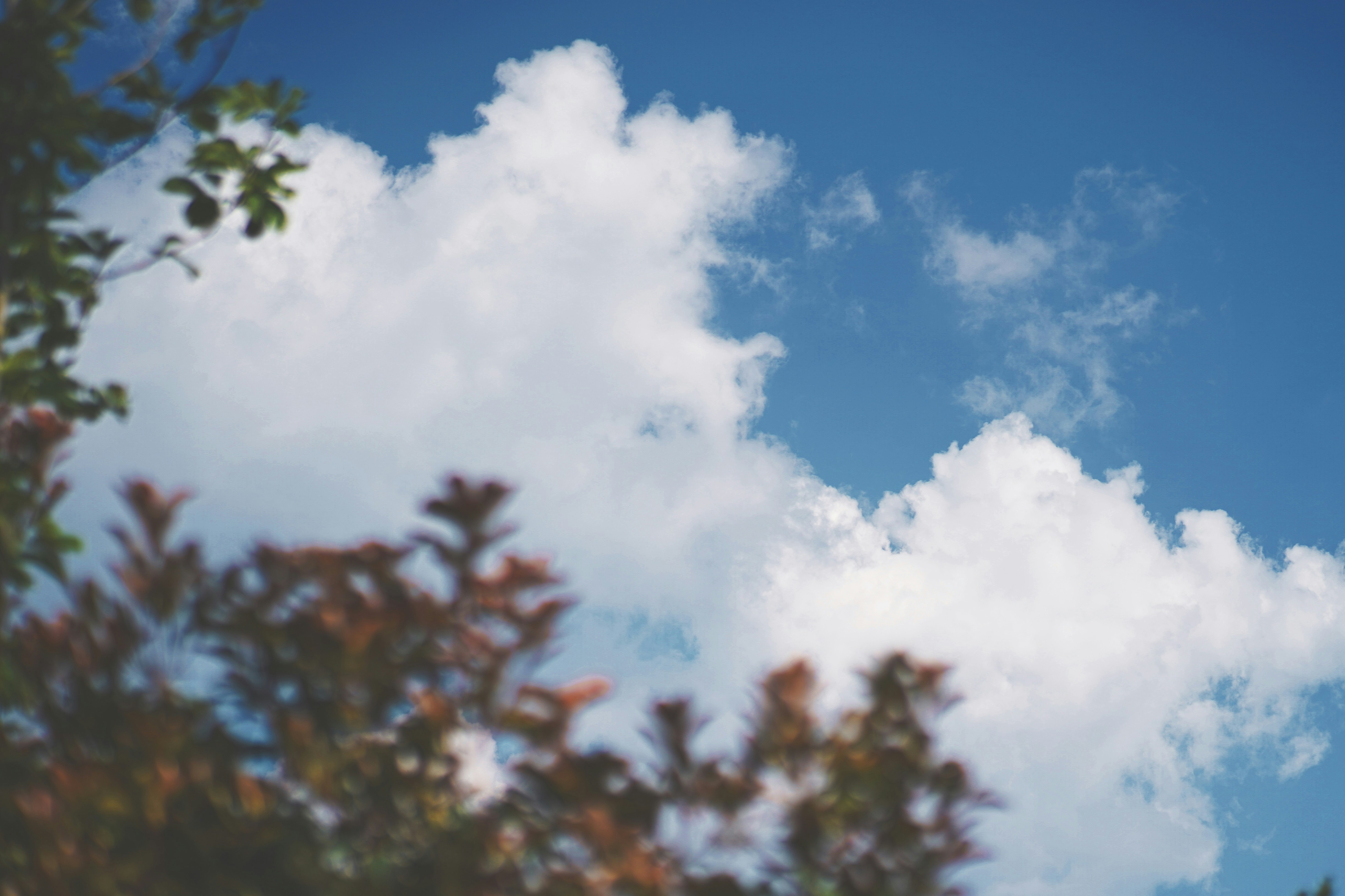 Fluffy white clouds in a bright blue sky.