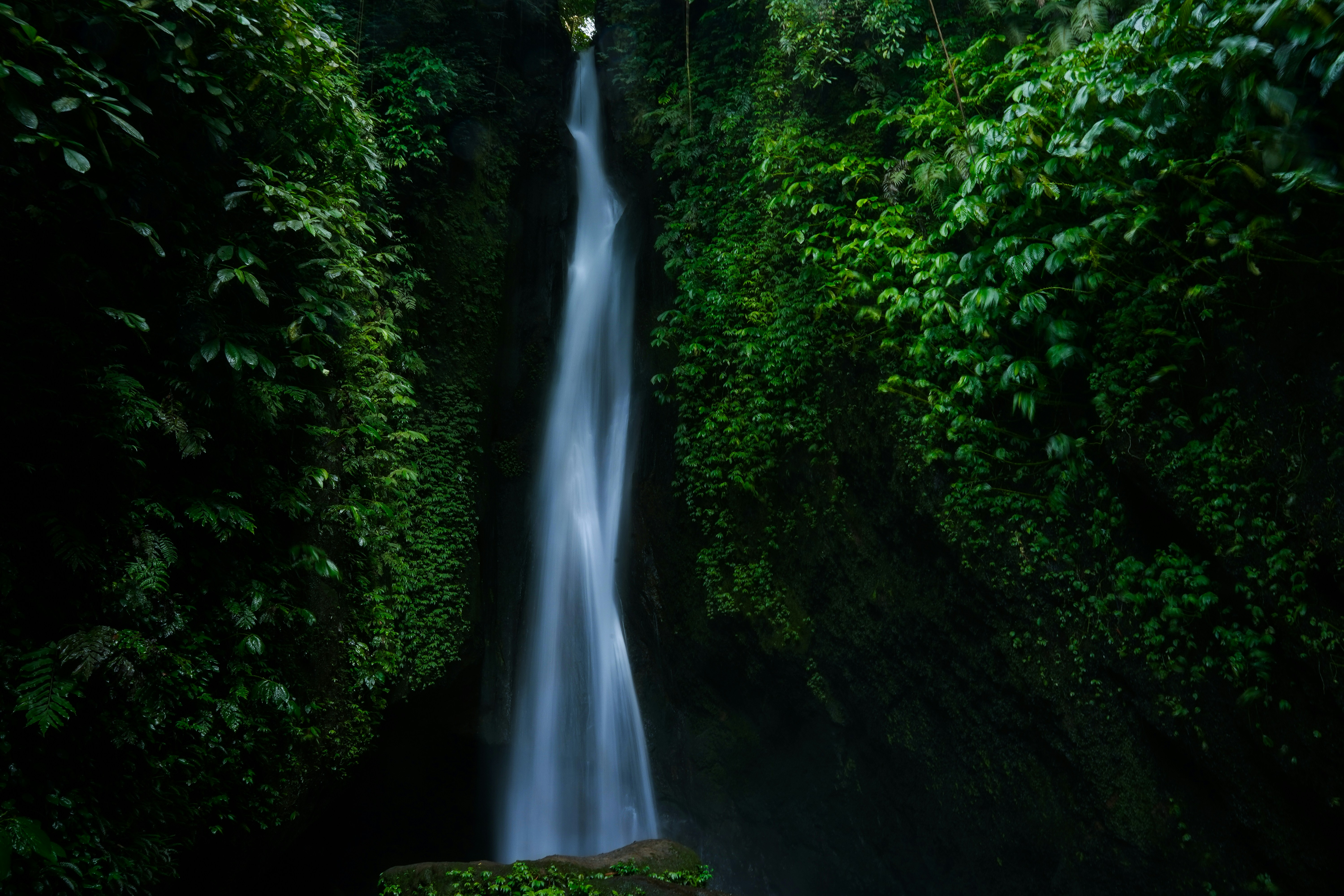 A serene waterfall cascades down a moss-covered cliff, surrounded by lush greenery and soft light filtering through the foliage.