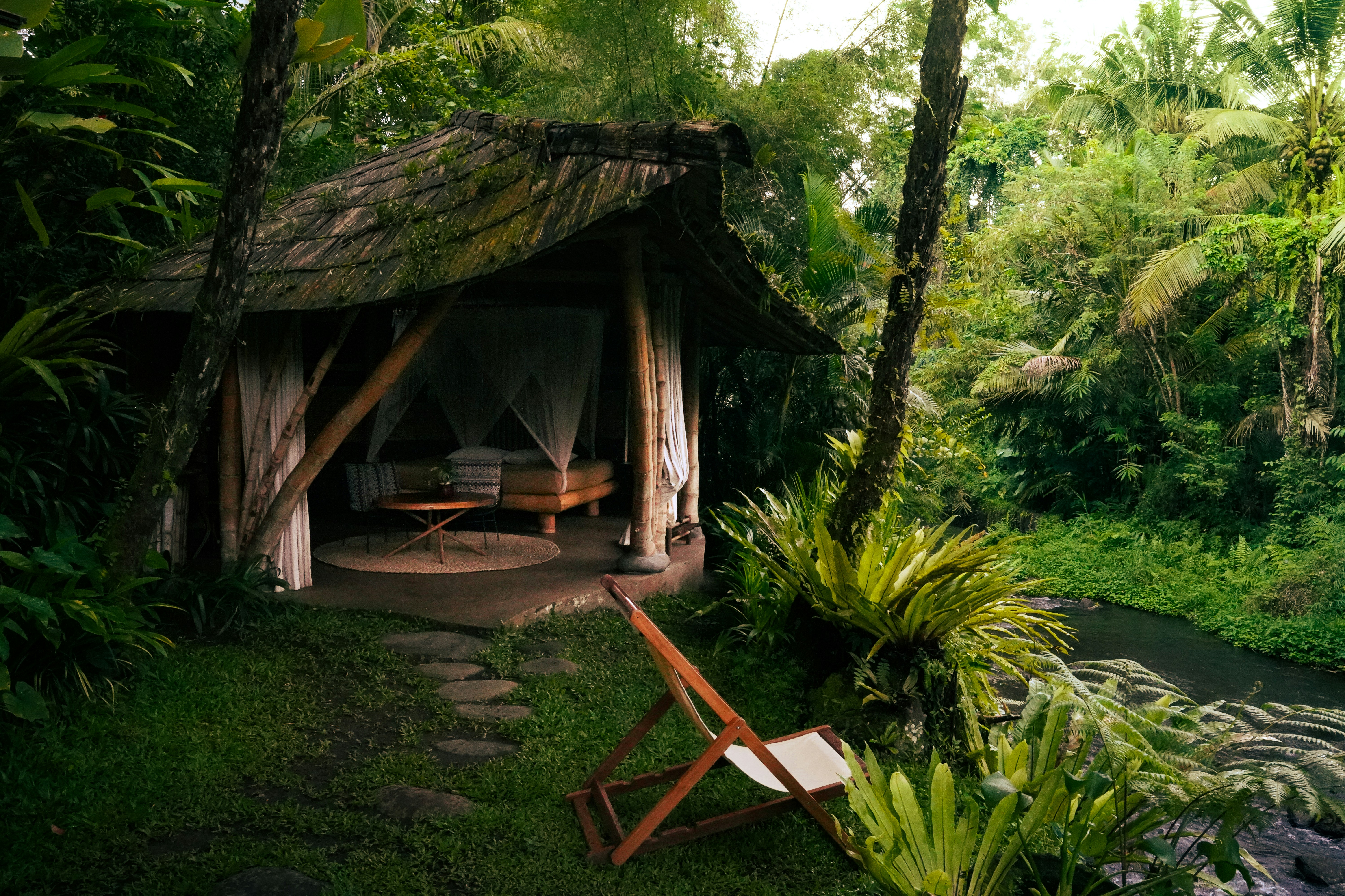 Serenity in Nature's Embrace