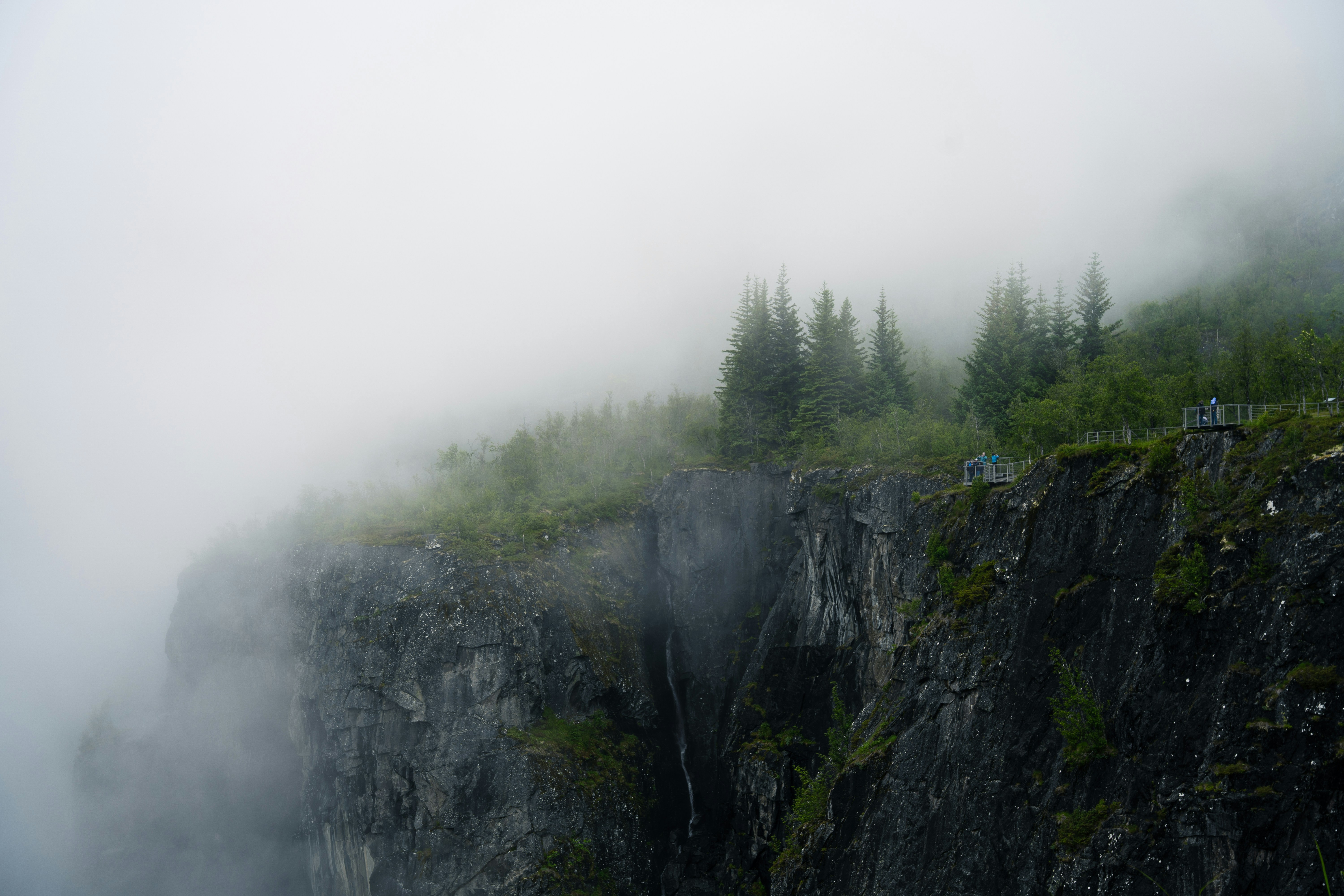 Veil of Mist Over the Cliffside