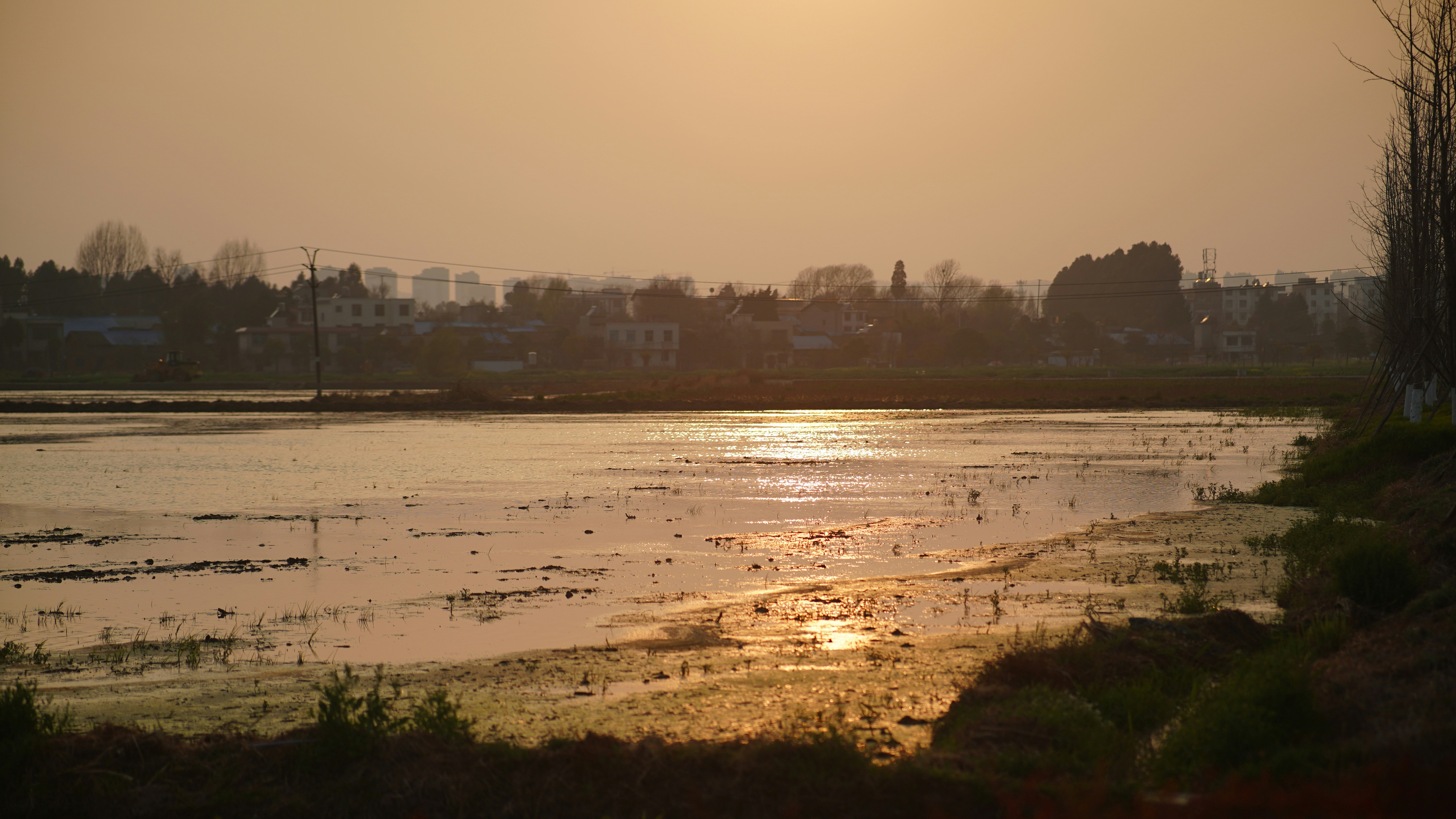 Golden Reflections on Tranquil Waters
