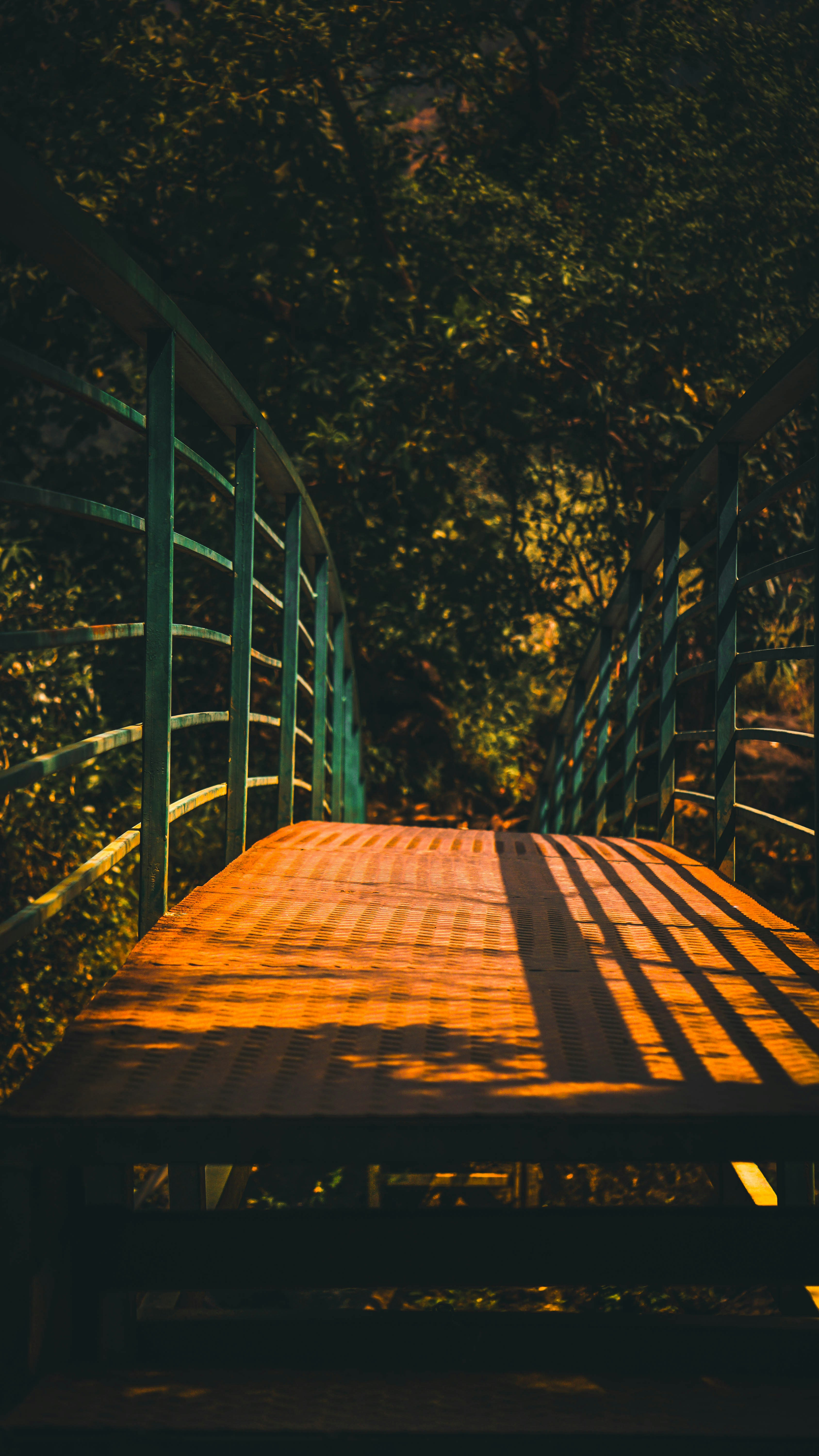 Wooden bridge with green railings in a forest