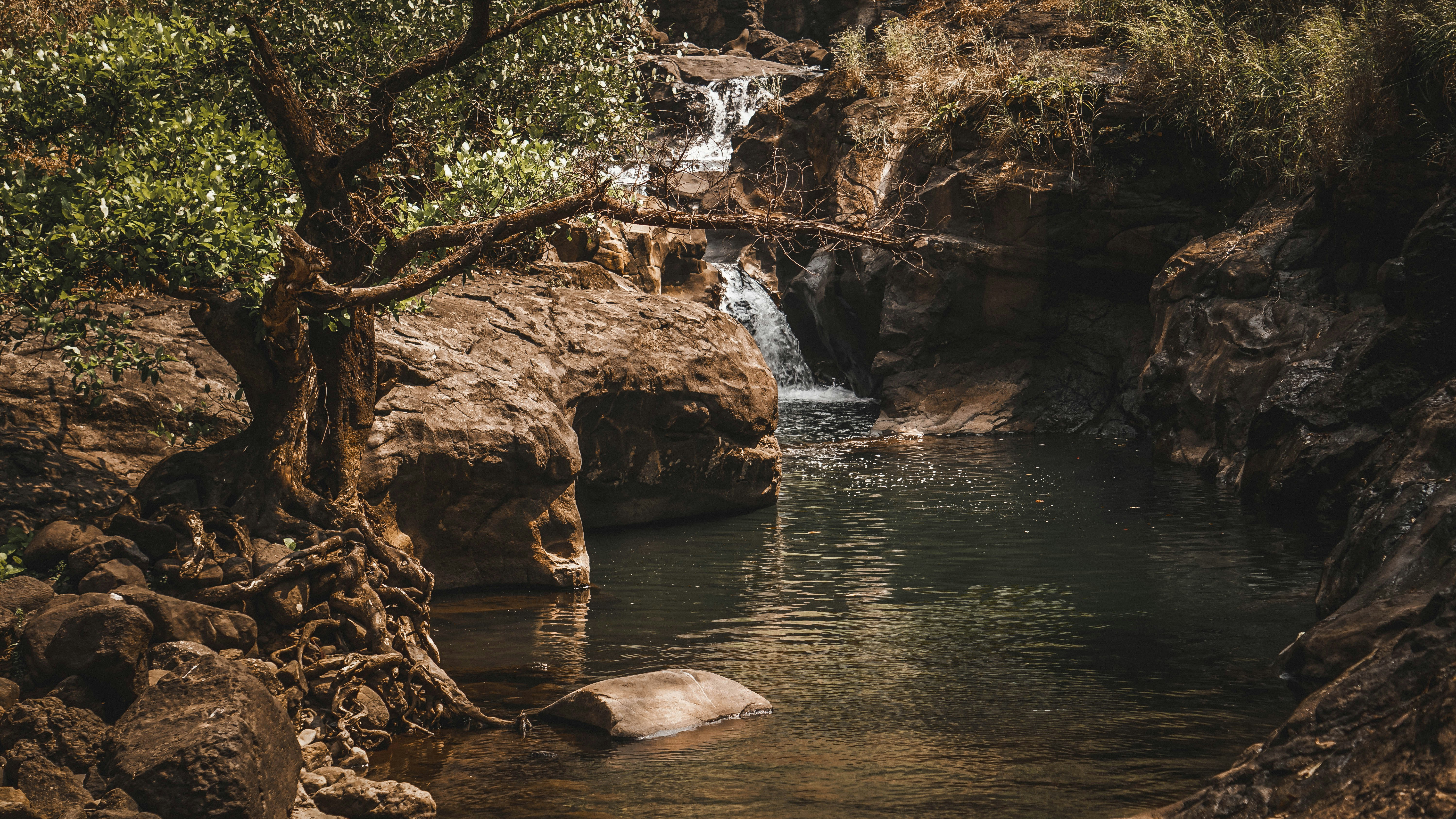 A small waterfall flows into a tranquil pool.