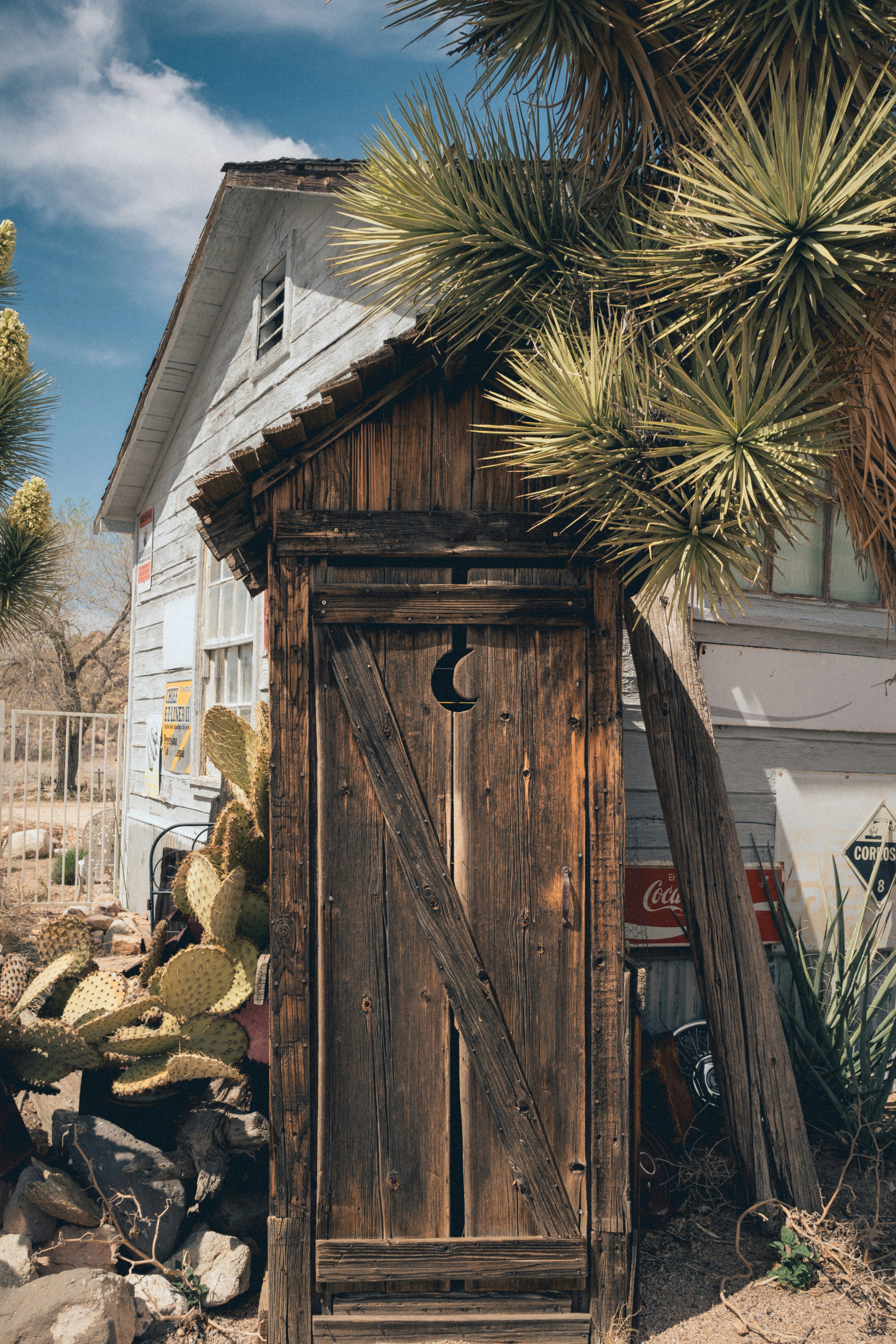 Rustic Retreat: A Vintage Outhouse Amidst Nature's Embrace
