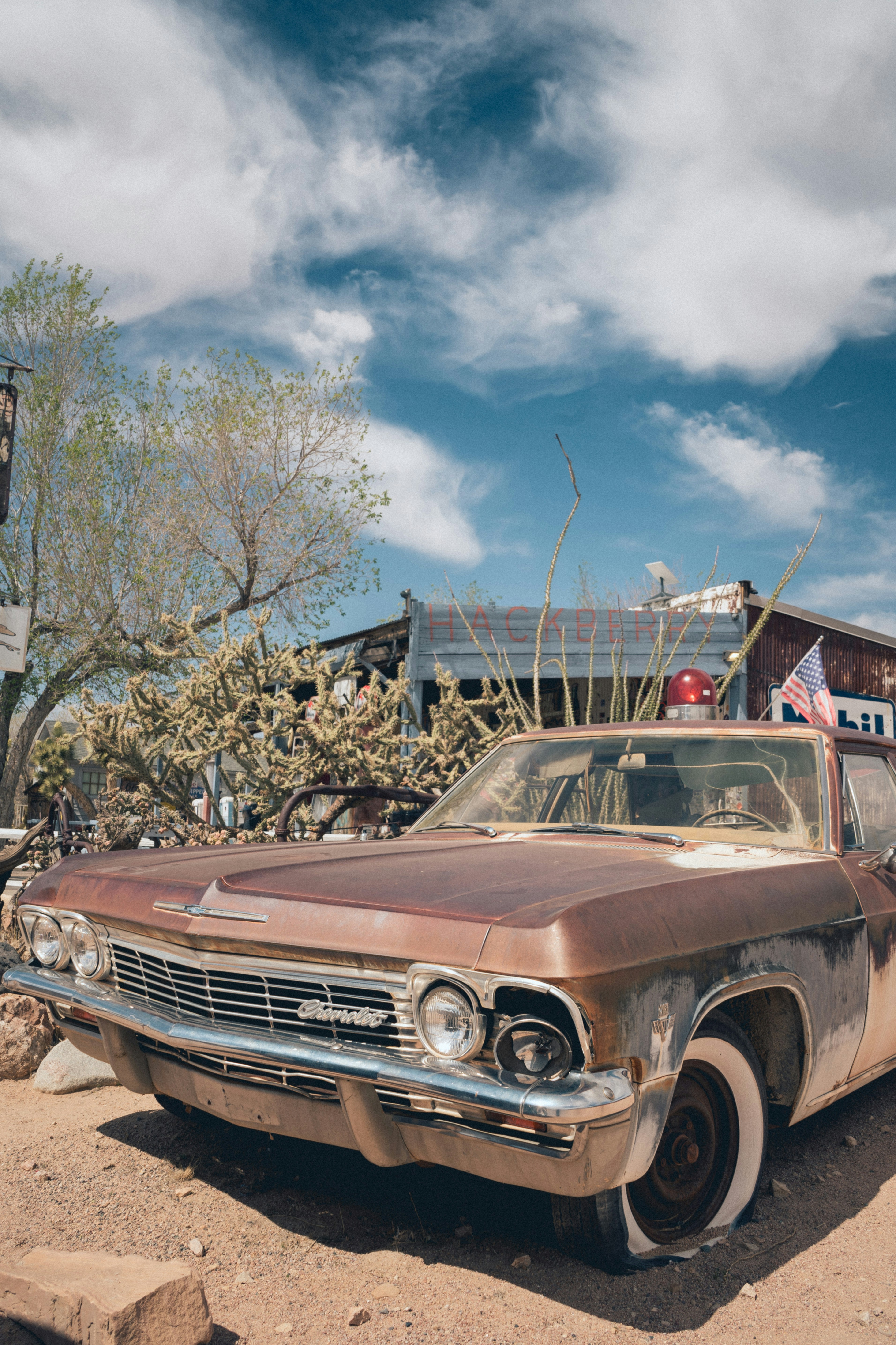 Rusting Legacy: A Classic Cruiser's Tale