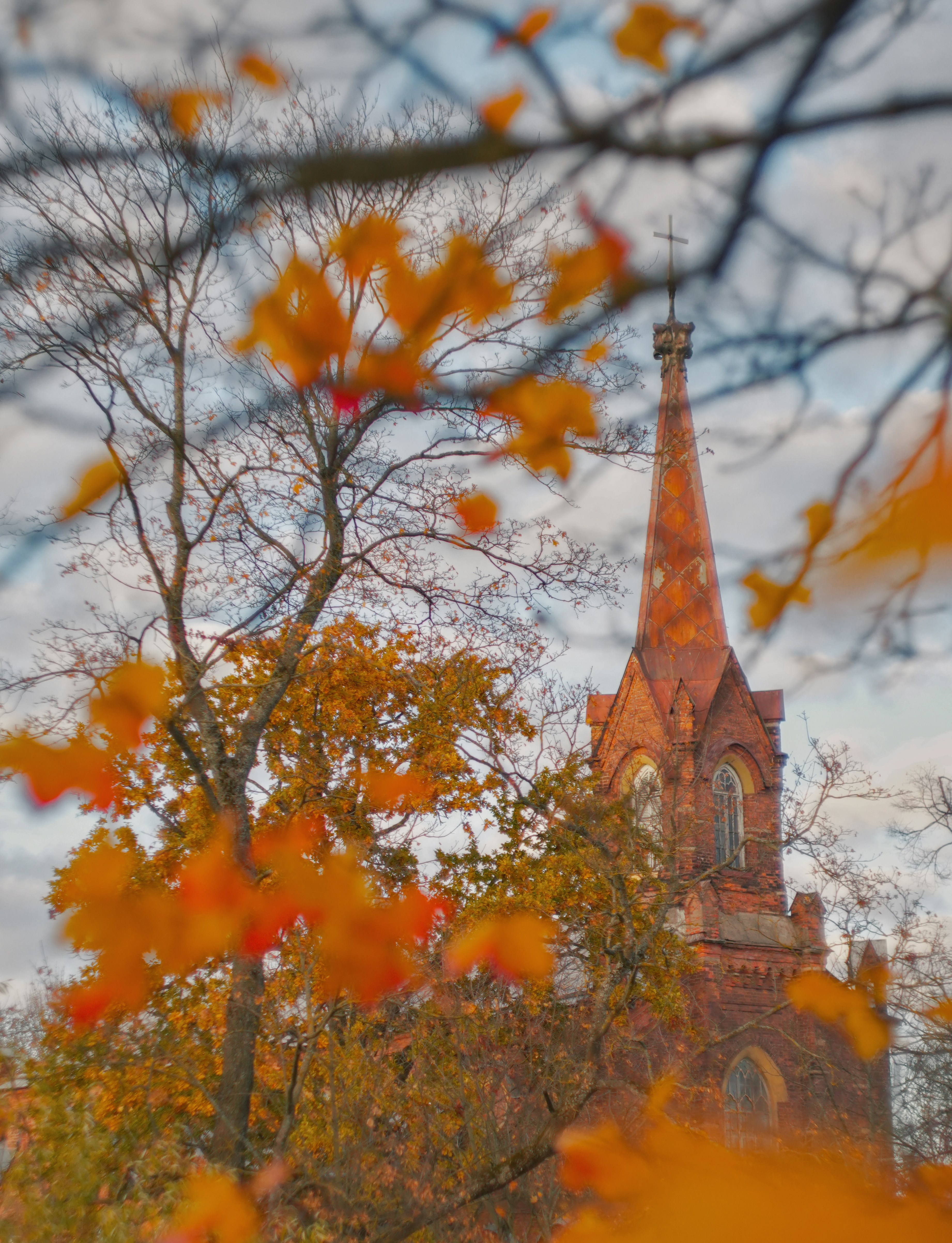 Autumn's Embrace: A Towering Testament