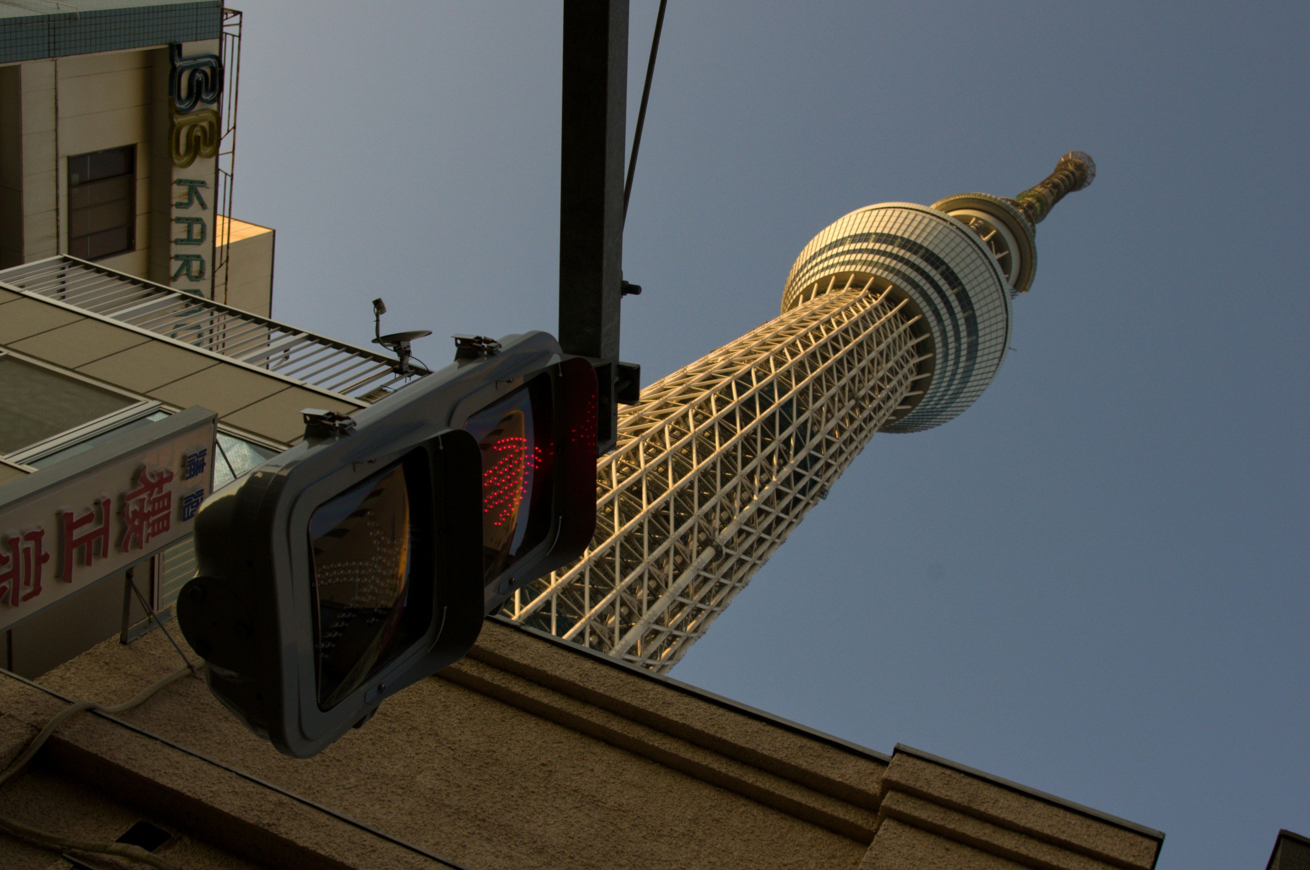 Tokyo Skytree rises majestically above the cityscape, framed by a traffic signal and surrounding buildings.