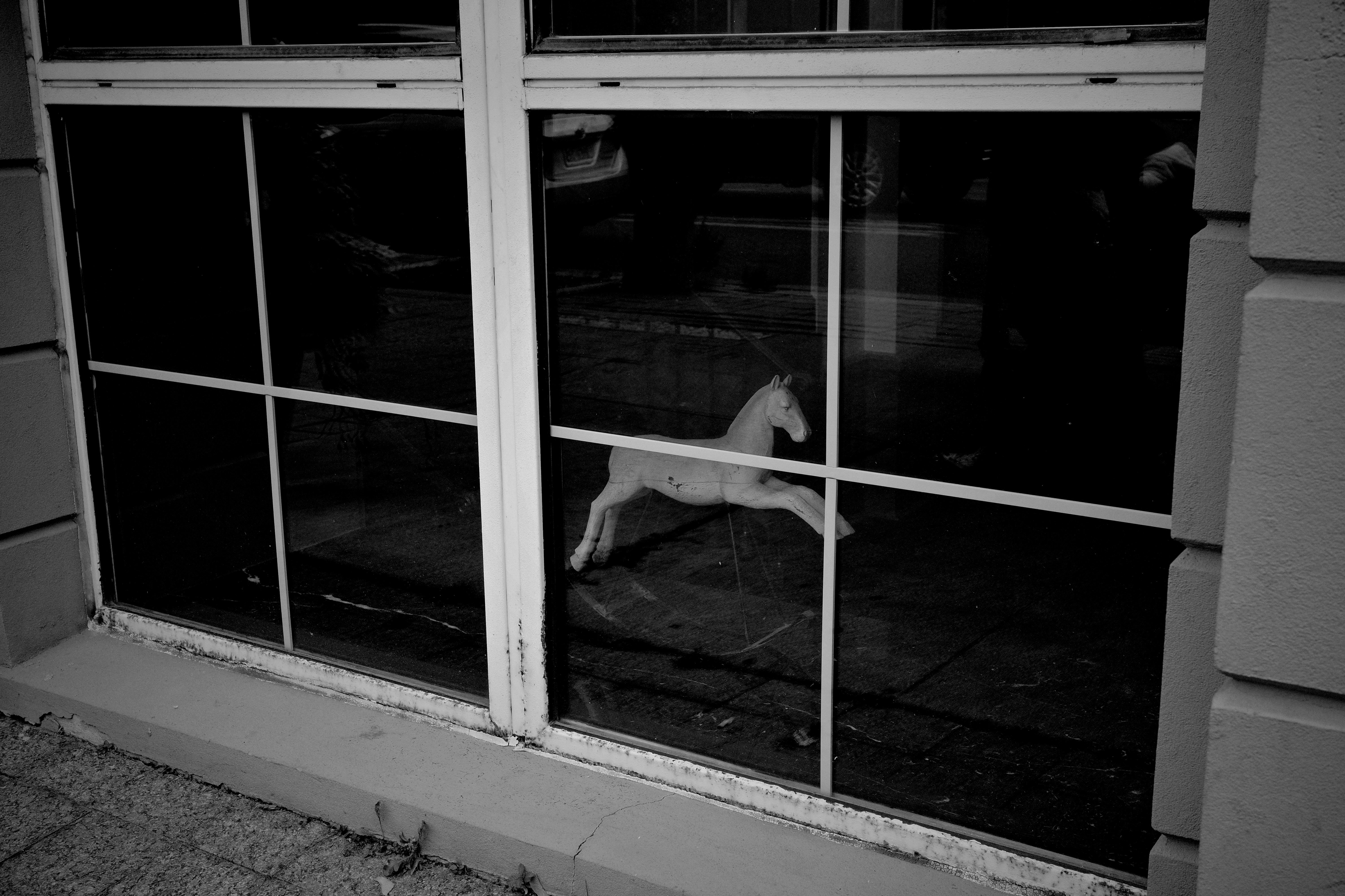 Whispers of a Forgotten Playtime