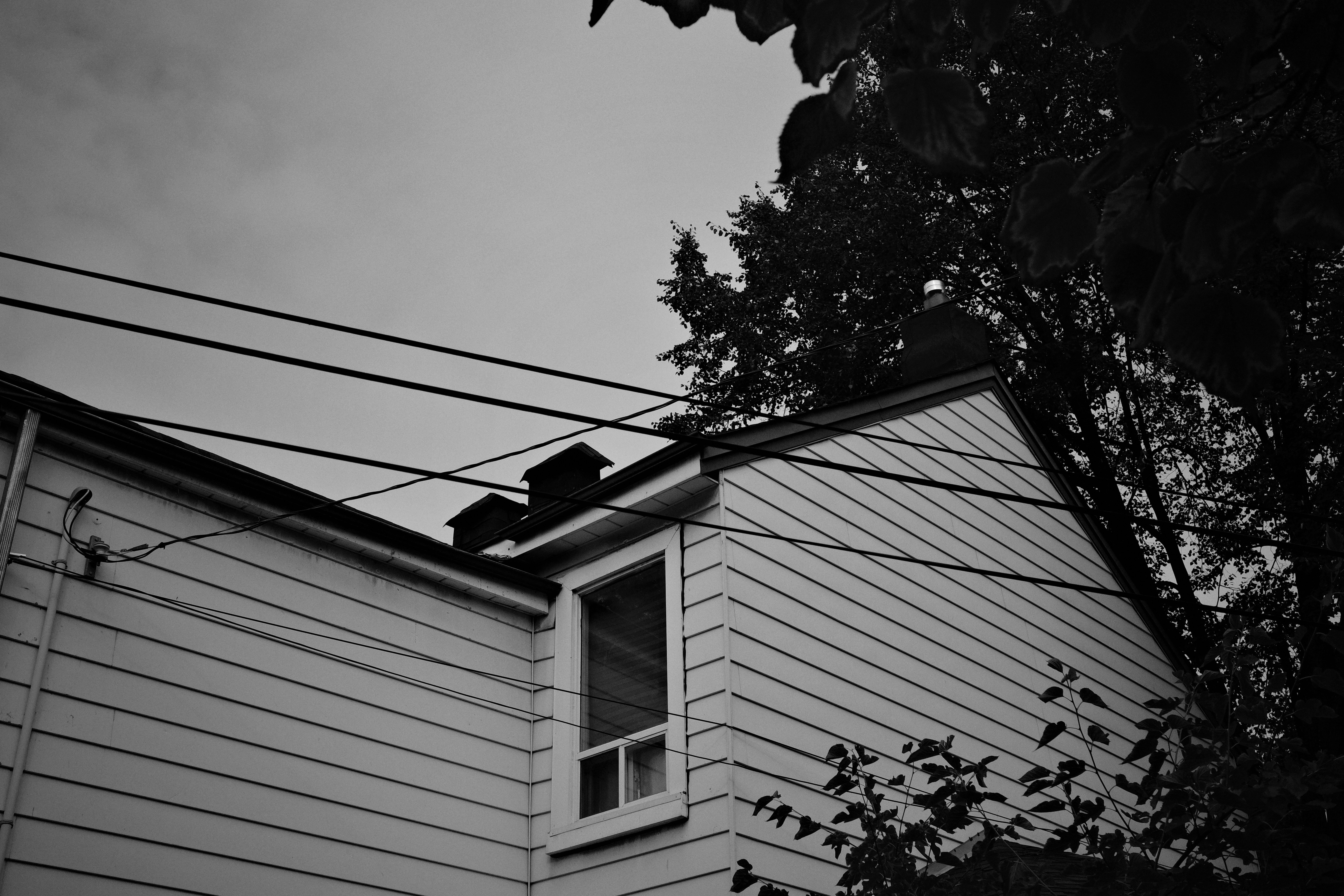 overhead-view-of-house-with-power-lines-and-trees | Overhead view of house with power lines and trees