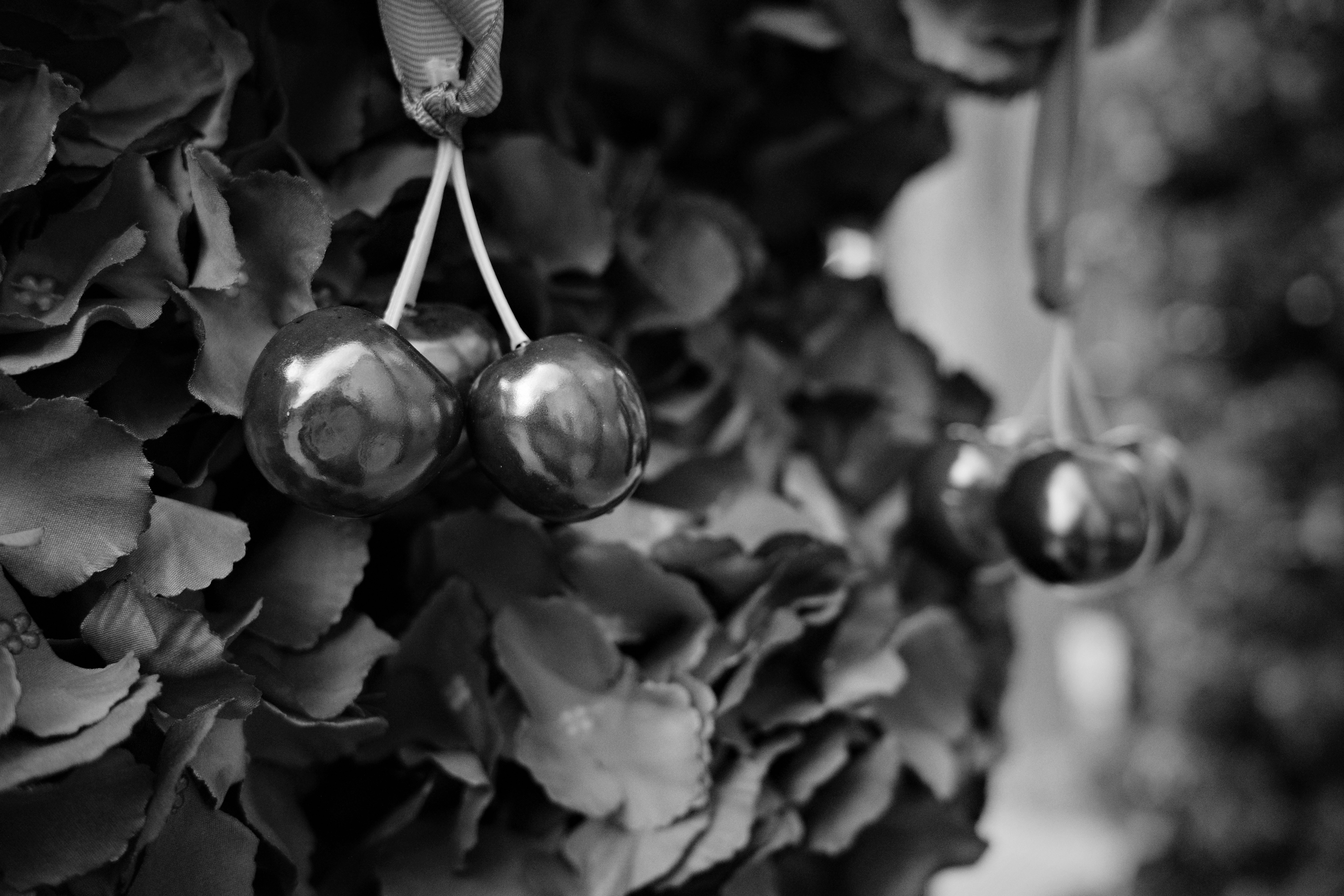 Echoes of Nature: A Monochrome Cherry Delight