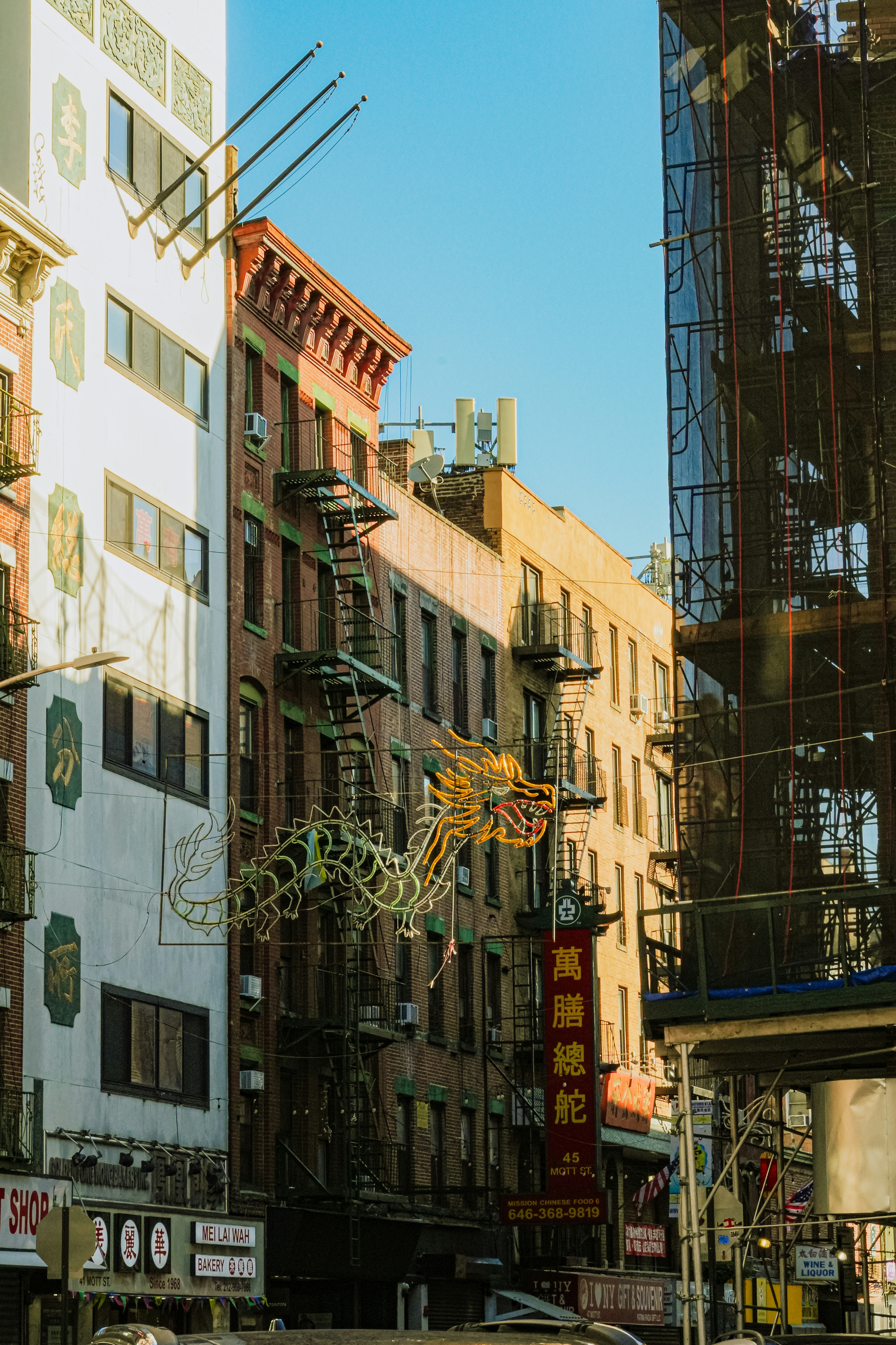 Urban Whispers: A Dragon's Tale Amidst the Concrete