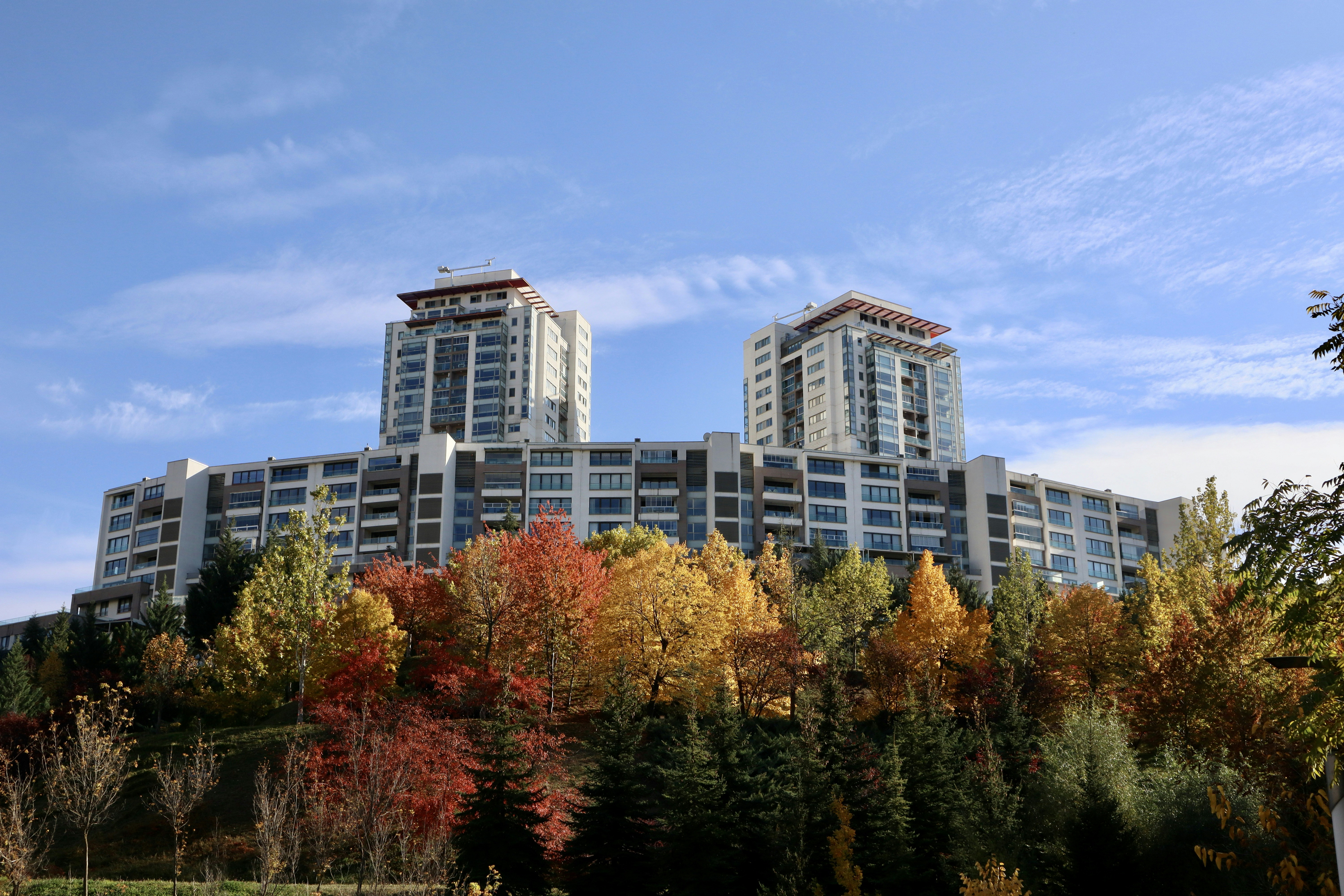 Modern buildings behind colorful autumn trees