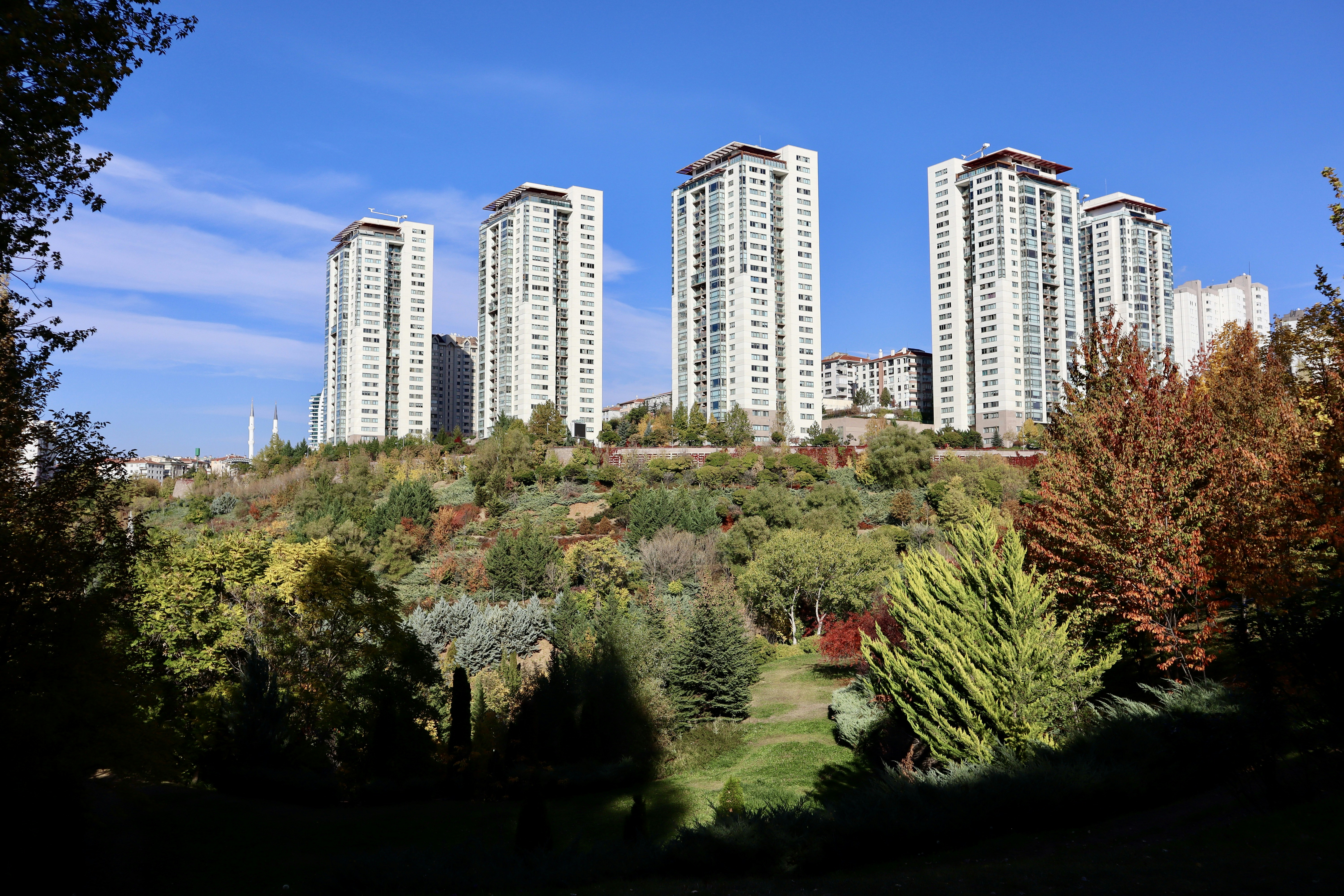 Tall apartment buildings rise above autumn trees on a hill.