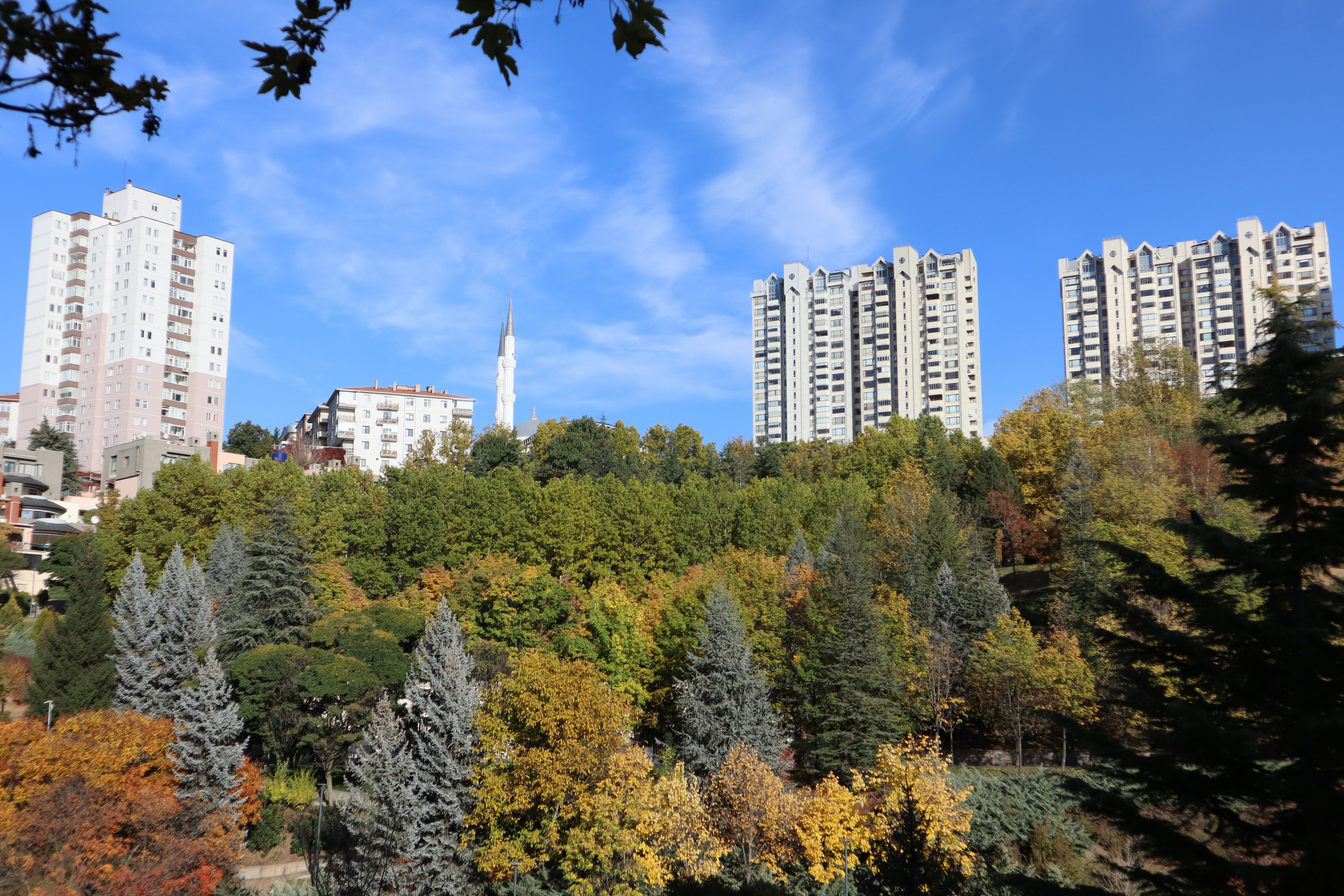 Apartment buildings on a hill with autumn trees.