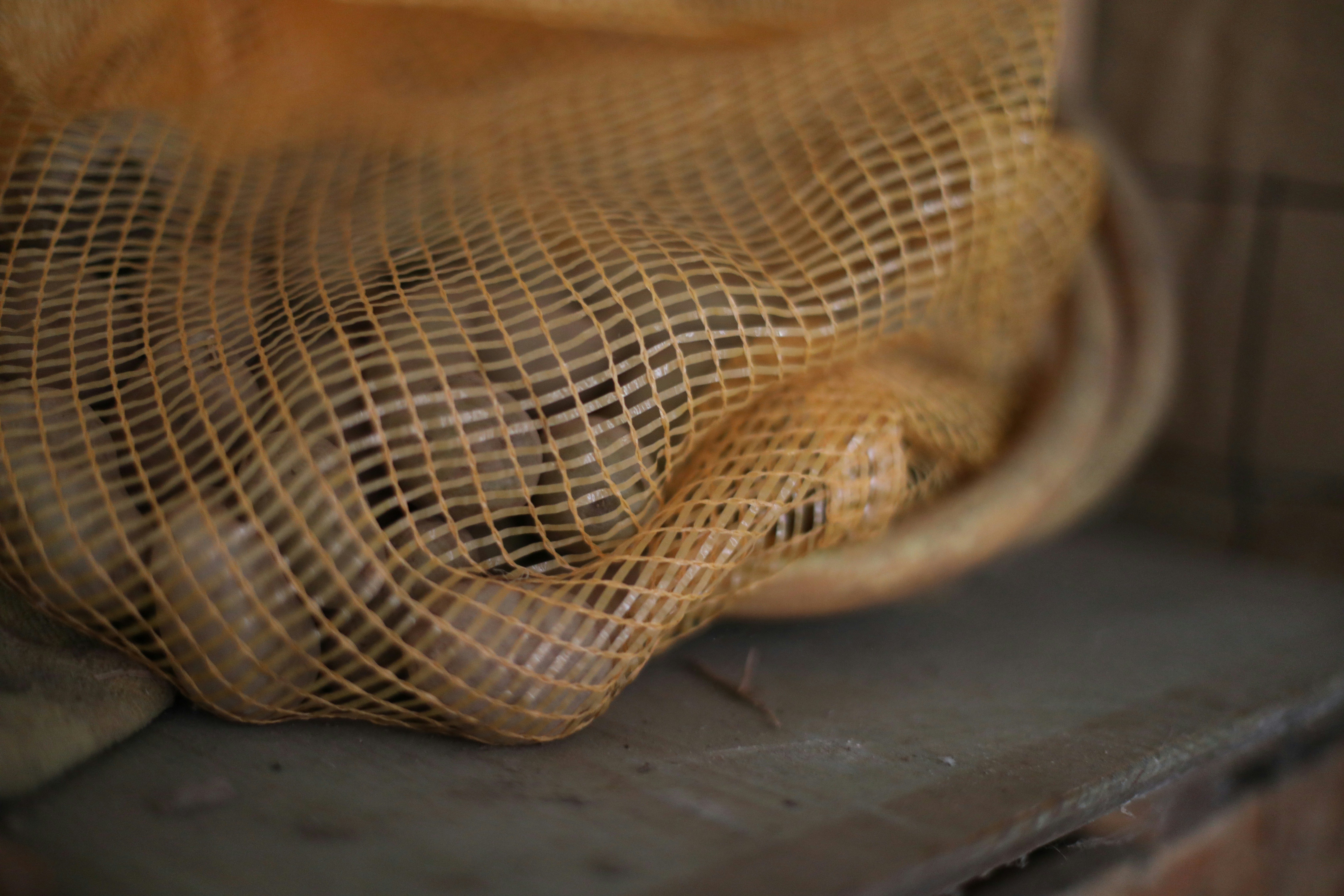 Tangled in Texture: A Study of Everyday Objects