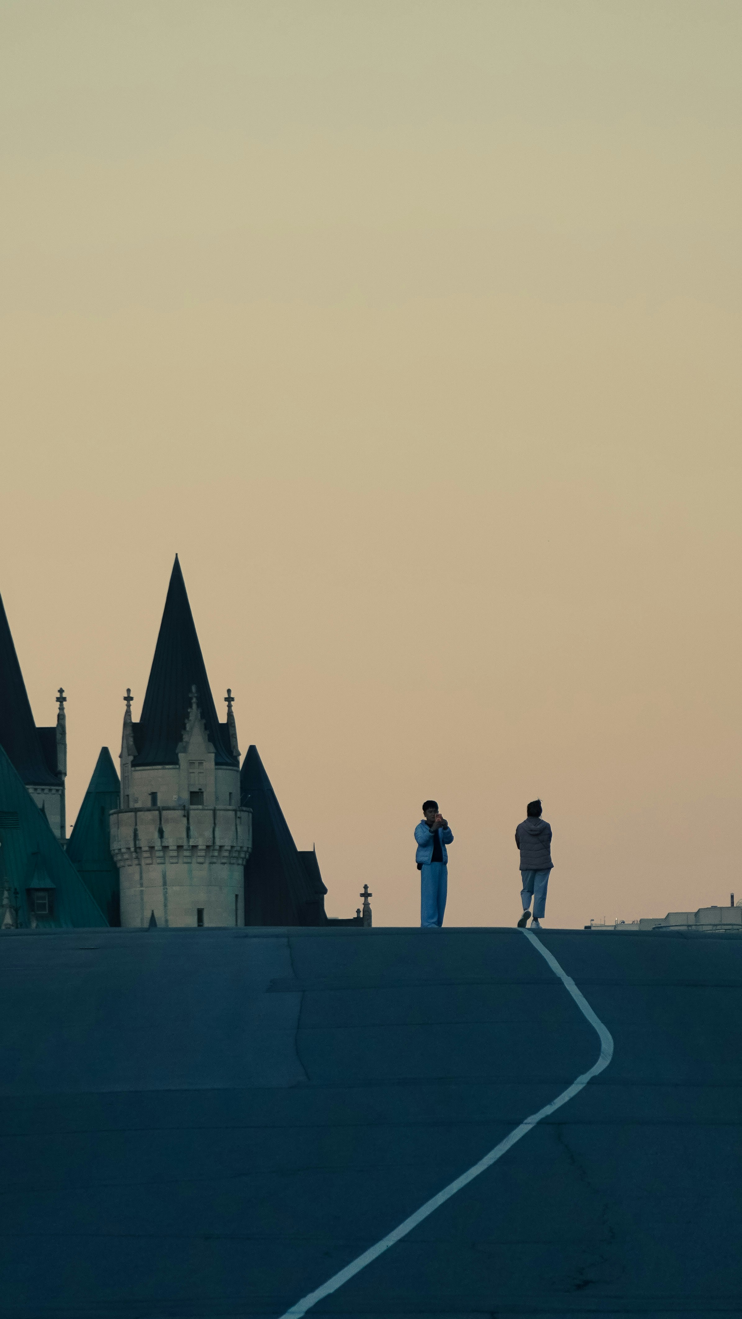 Two people stand before a castle at dusk.