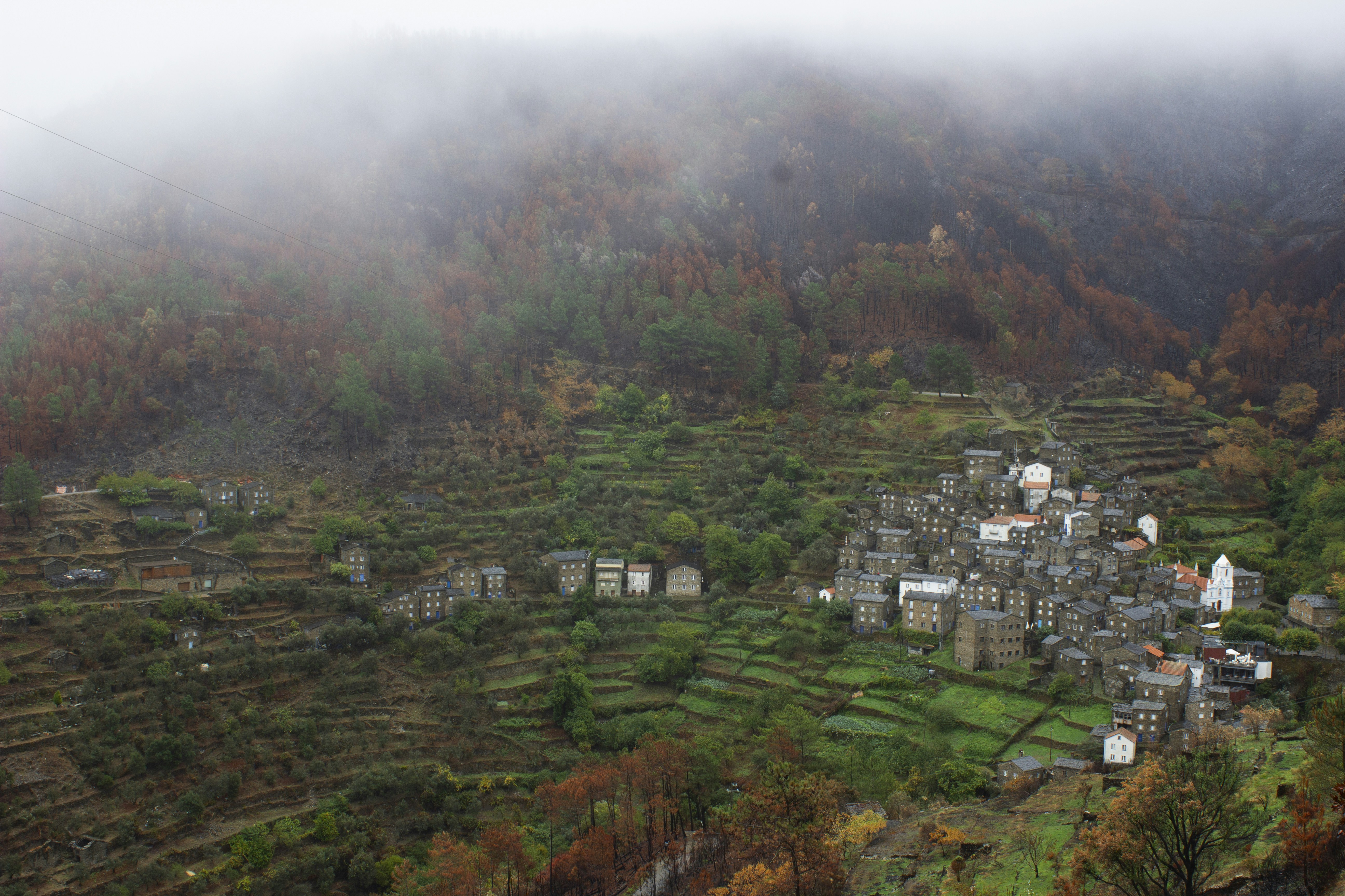 A quaint village nestled among terraced fields, shrouded in fog, revealing hints of autumn colors. The landscape showcases the harmony between nature and human habitation.