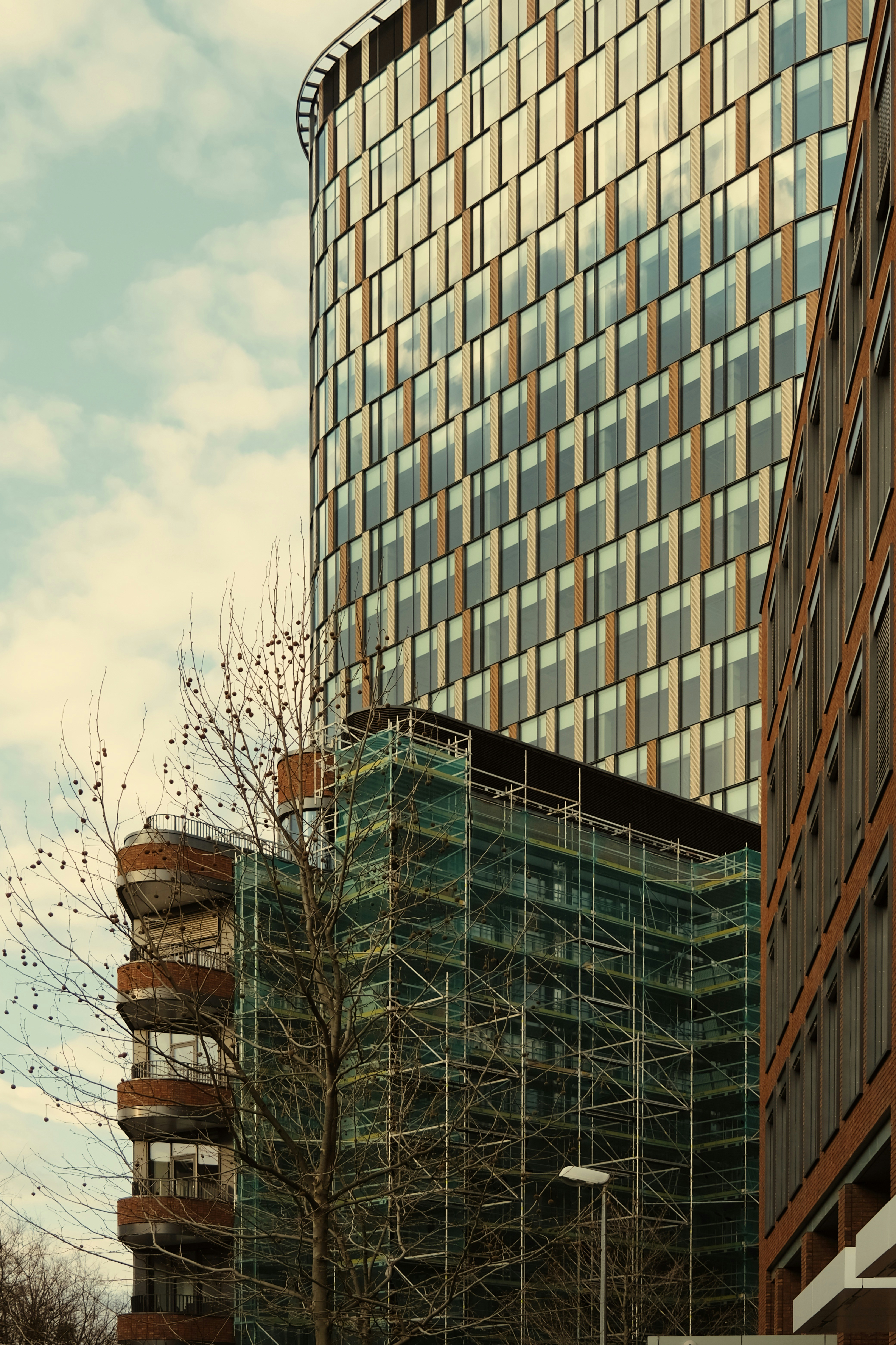 Processed with VSCO with dog2 preset | Modern buildings with scaffolding and bare tree.