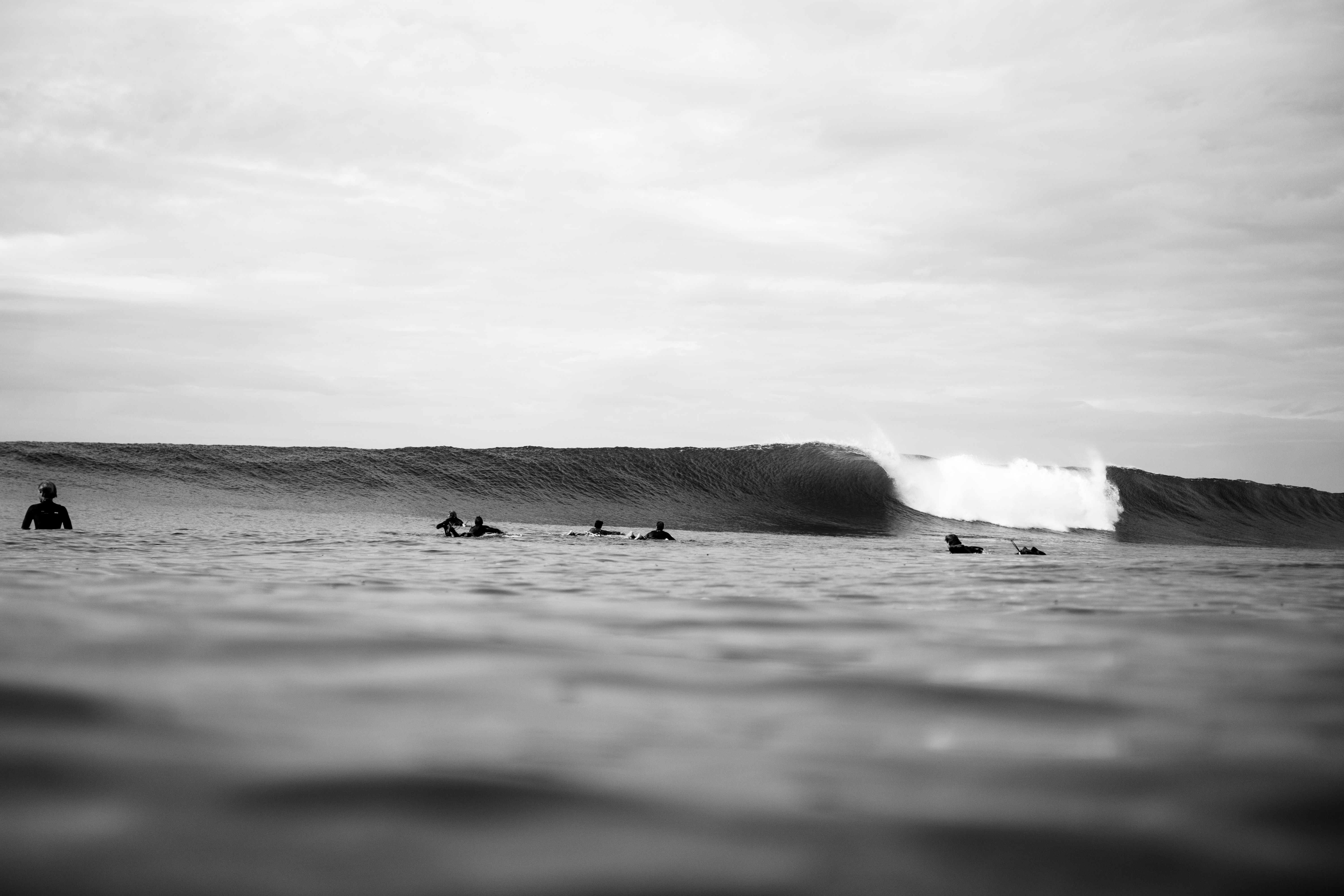 Harmony in Motion: Surfers Embrace the Ocean's Rhythm