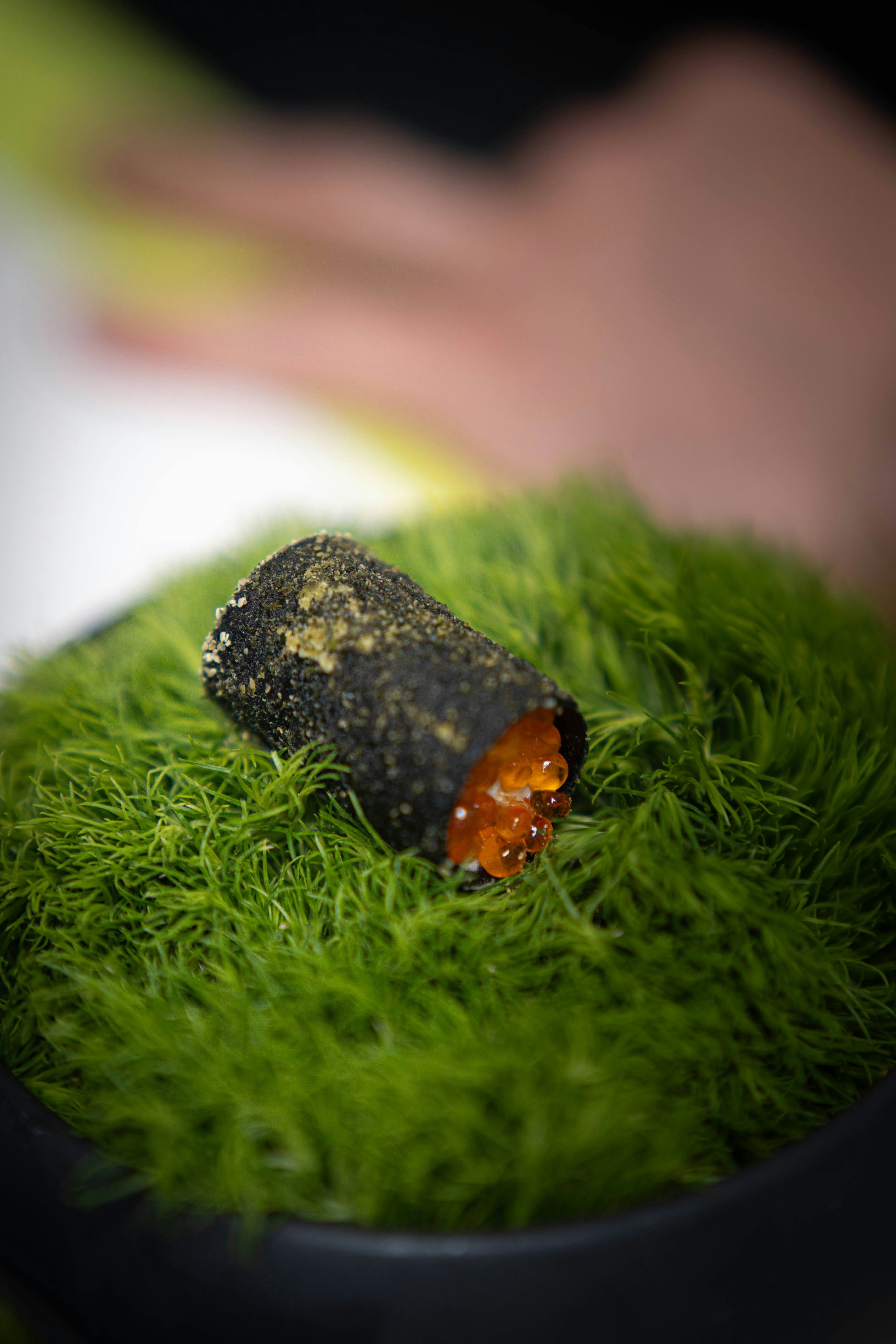 Culinary Artistry: A Delicate Fusion of Flavors