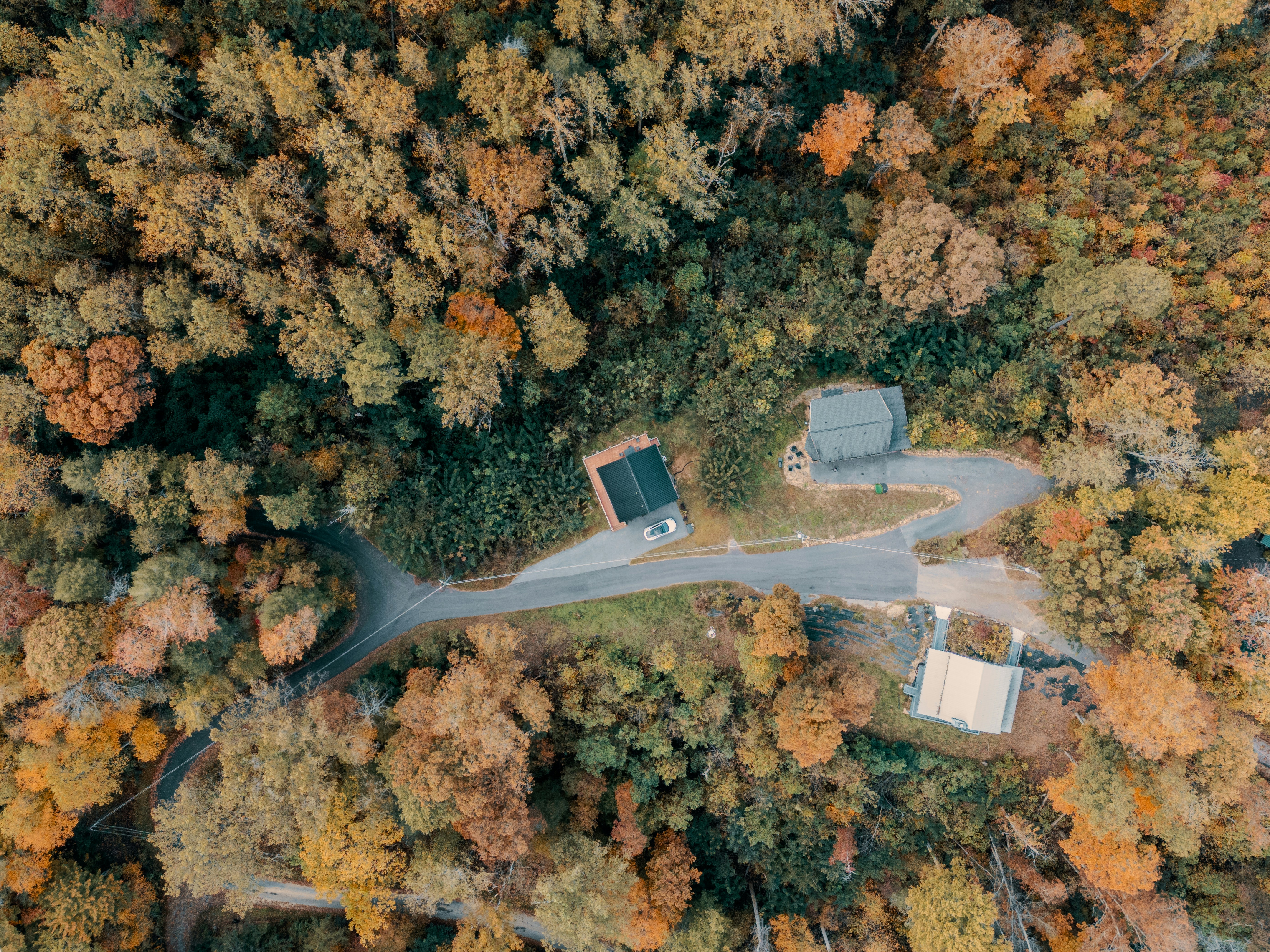 Vibrant autumn foliage envelops a winding road and a few structures nestled in the forest. The aerial view reveals a harmonious blend of colors and textures.