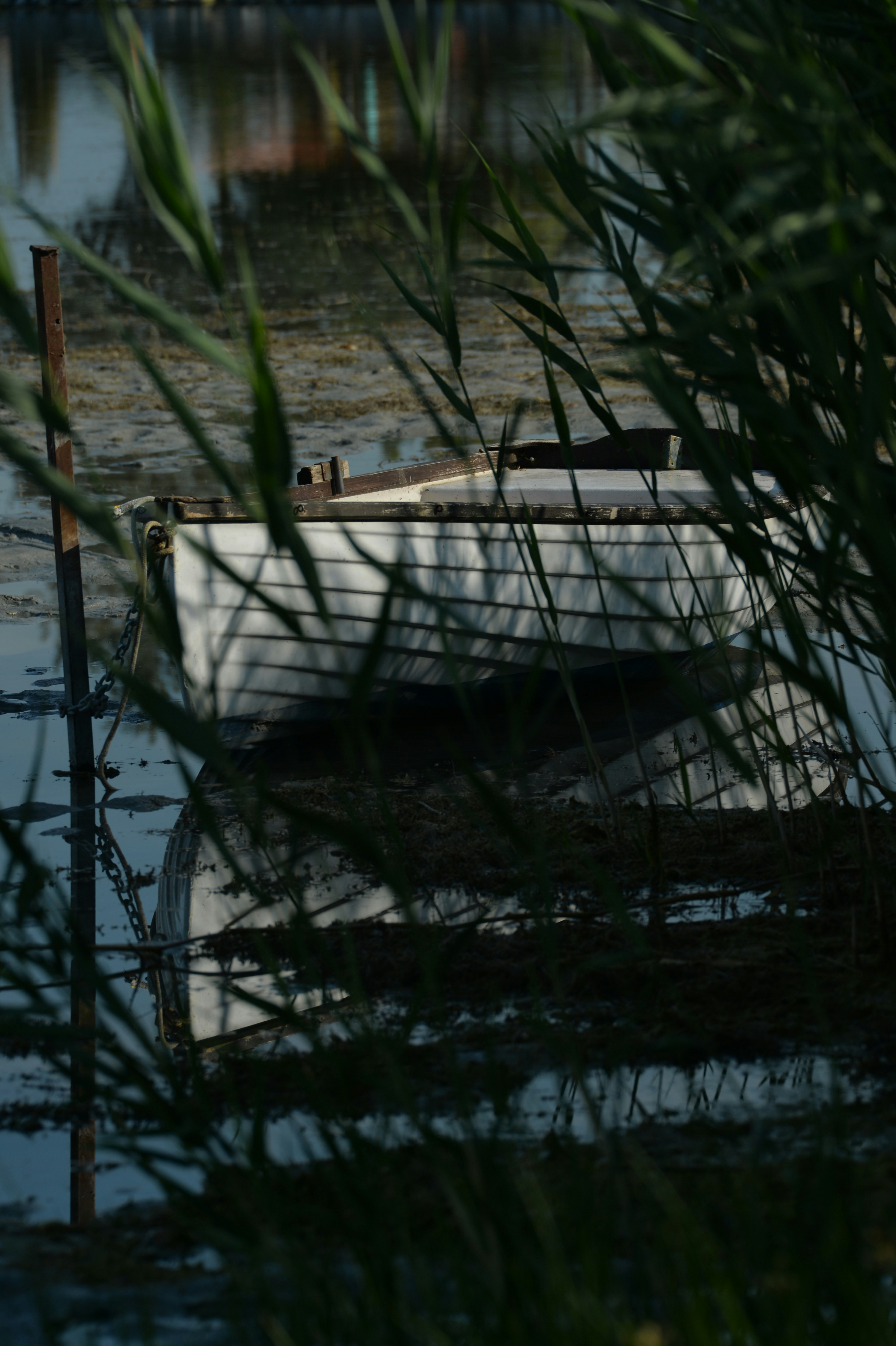 Whispers of Serenity: A Boat's Reflection