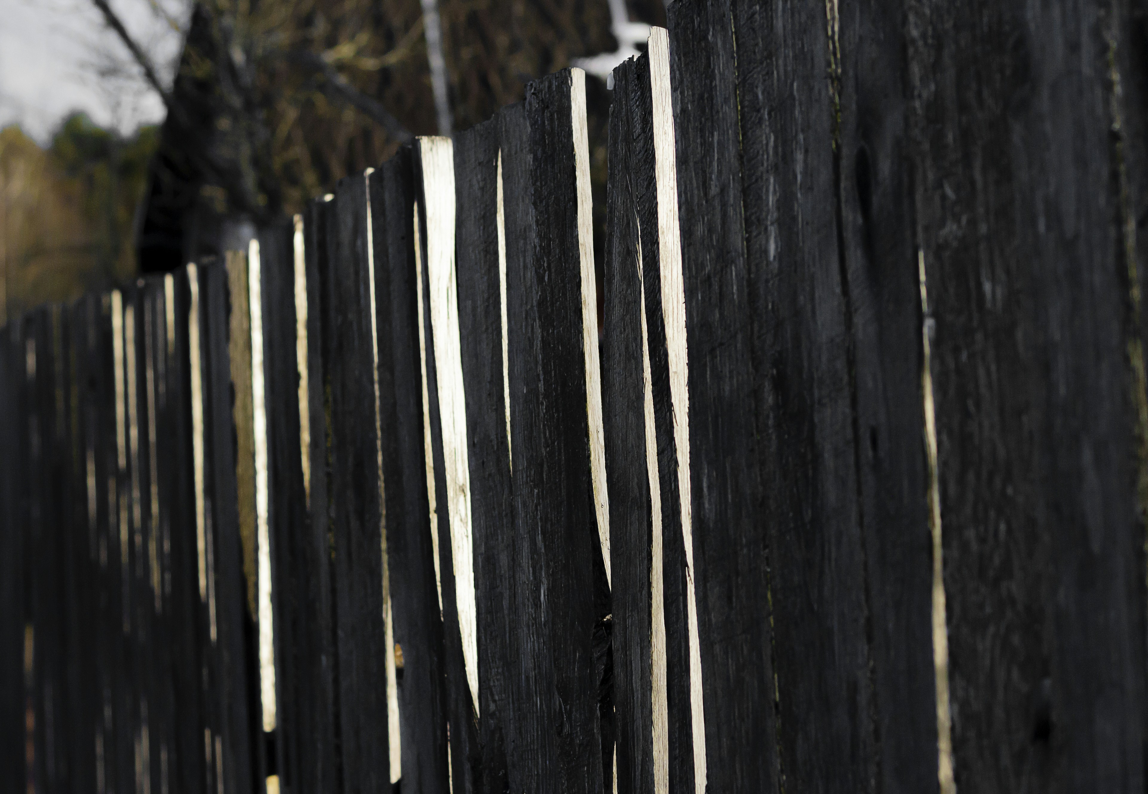 Sunlight shines through gaps in a weathered wooden fence.