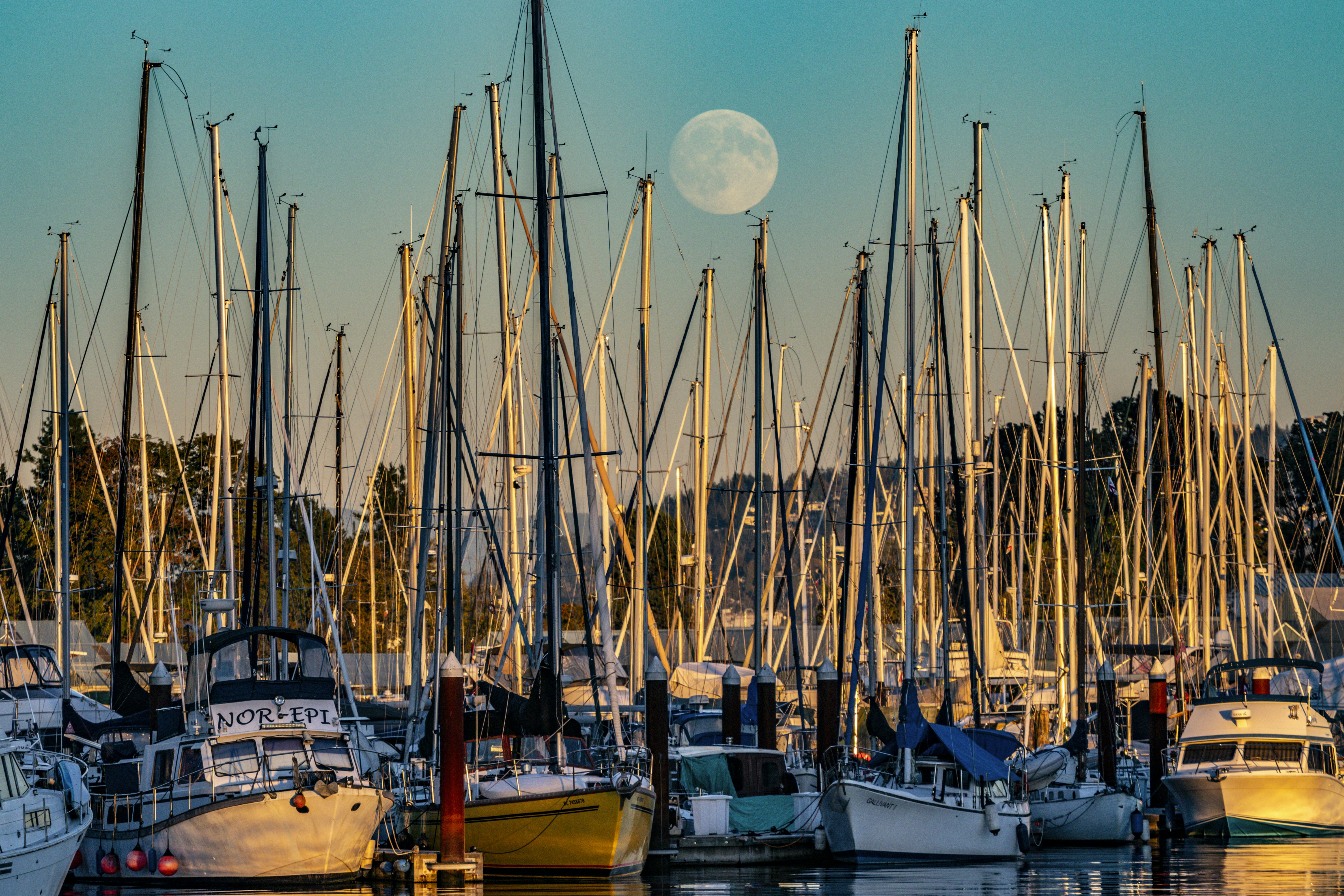 Sailboats Beneath a Celestial Glow