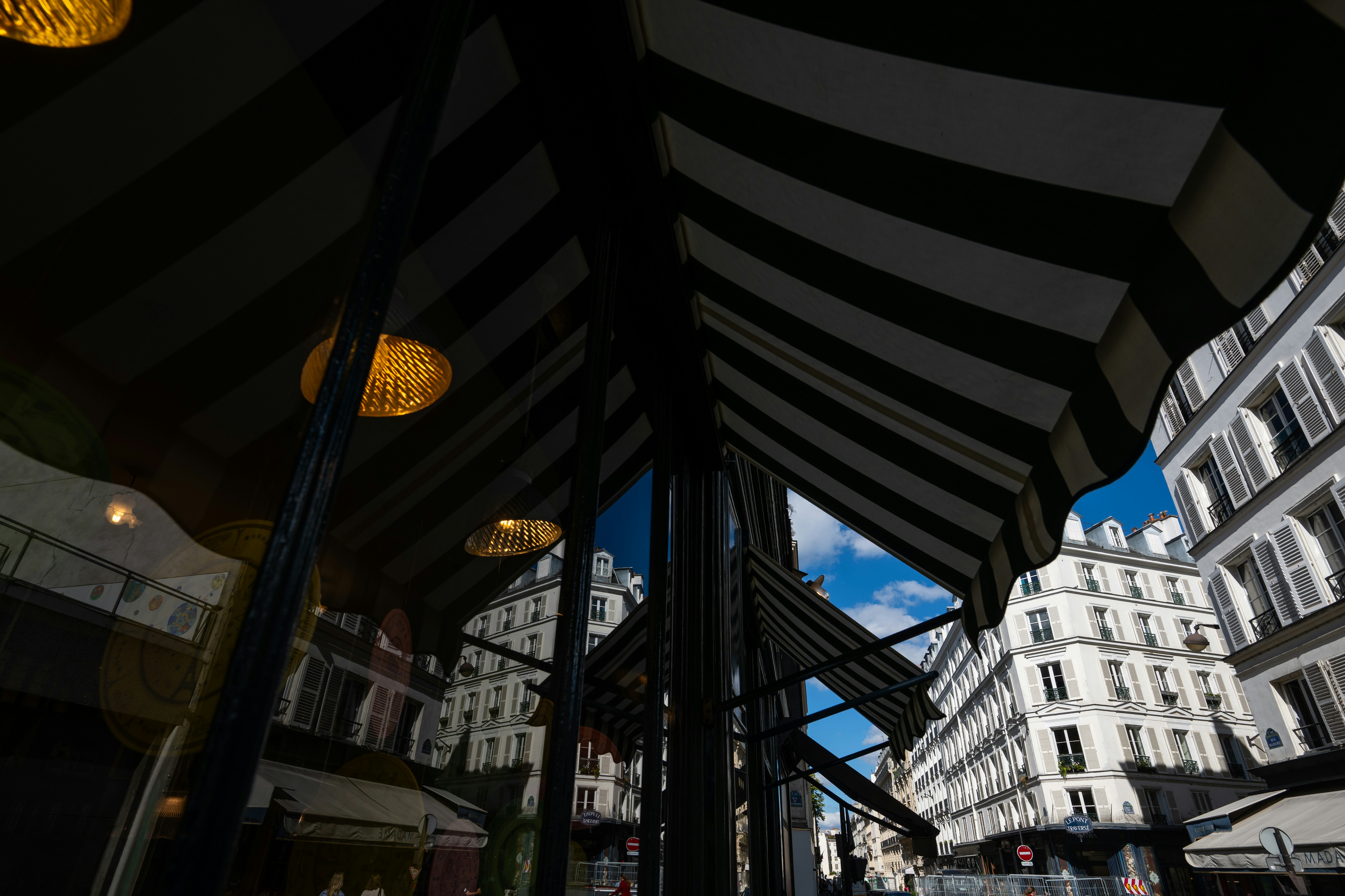 Urban Canopy: A Glimpse of Parisian Life