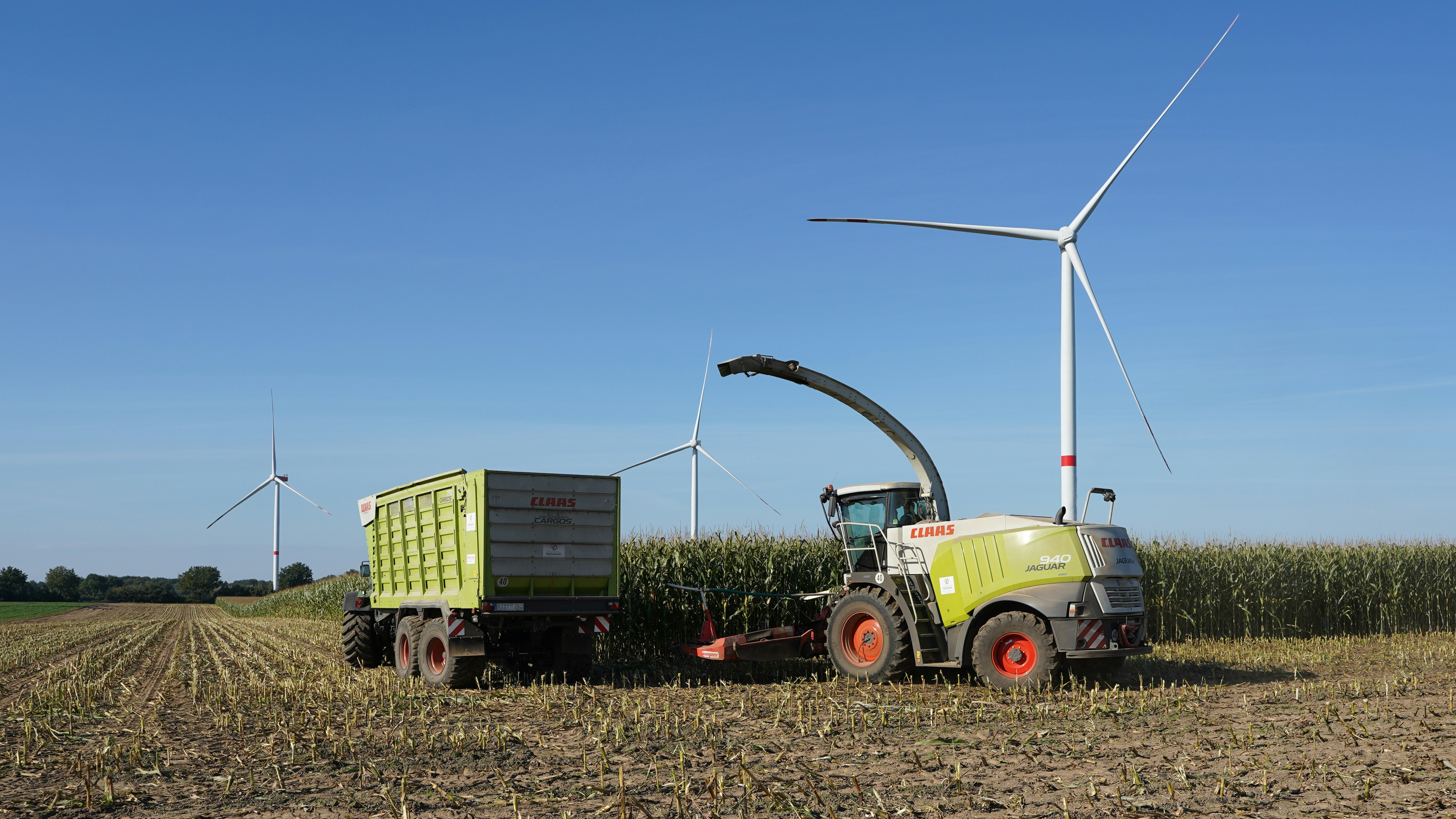 Photo by Wolfgang Weiser with Sony Alpha 7 III