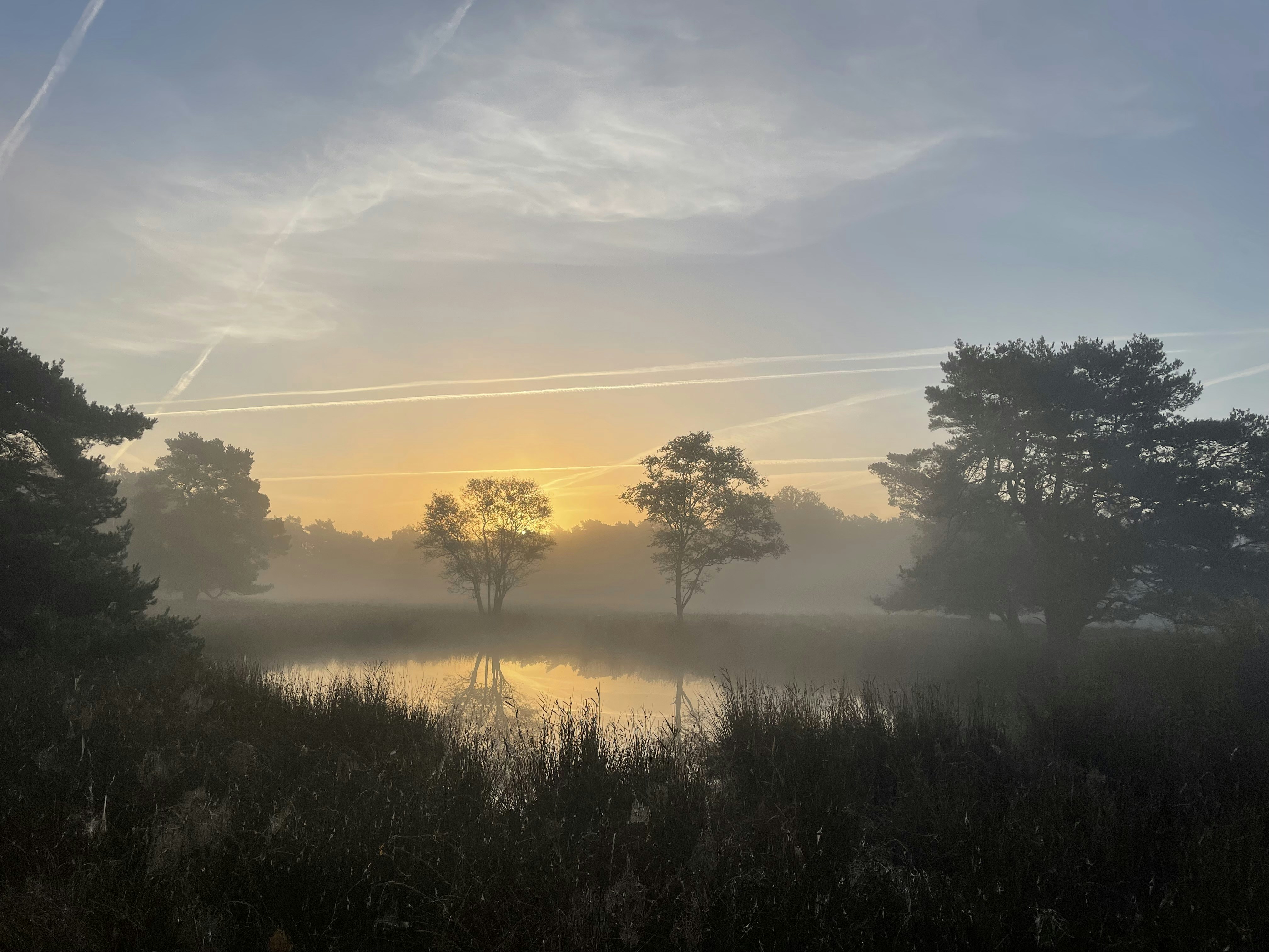 Whispers of Dawn: A Misty Reflection