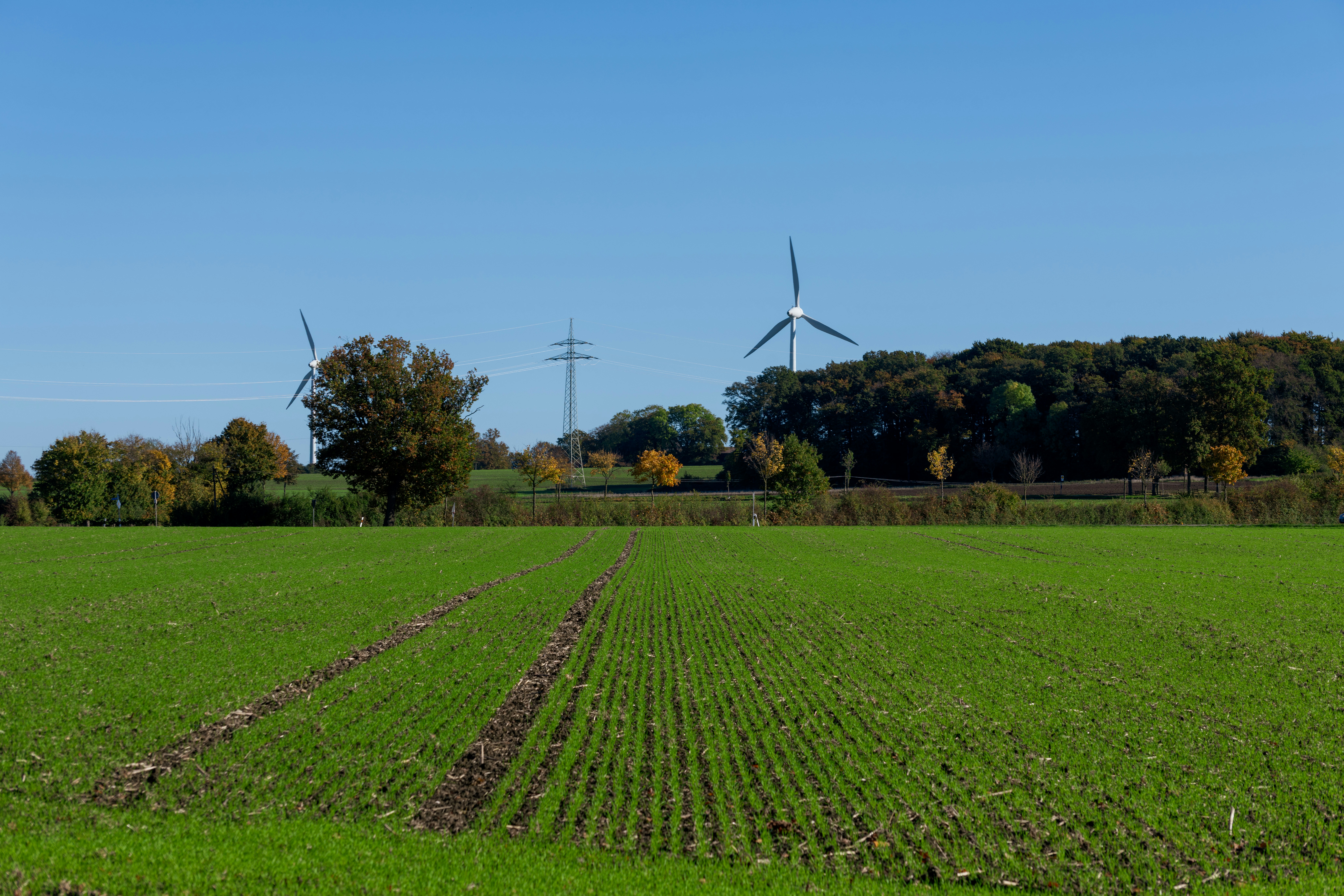 Vibrant green field with wind turbines standing tall against a clear blue sky, illustrating the blend of agriculture and renewable energy.