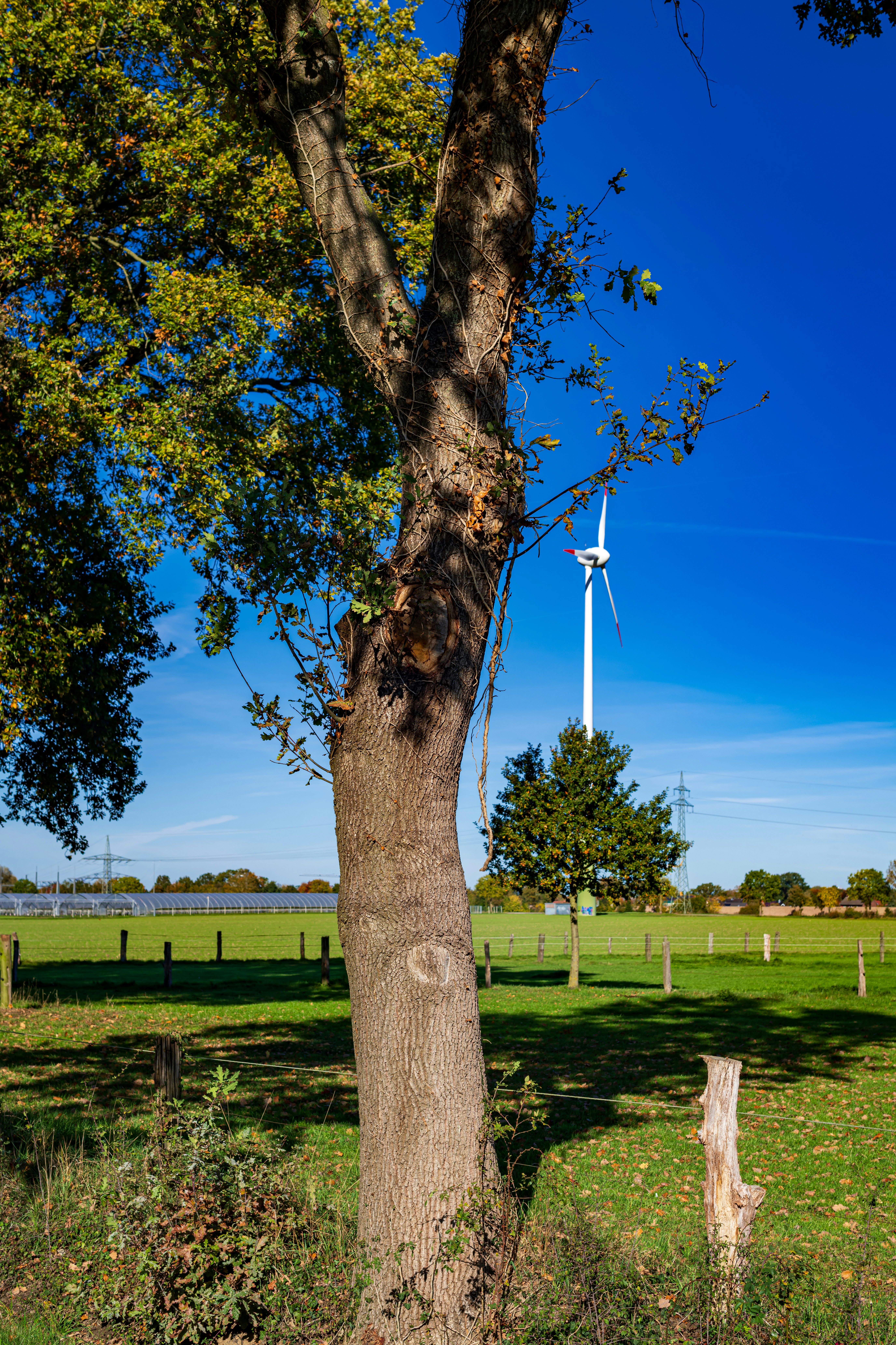 Nature Meets Innovation: A Serene Landscape