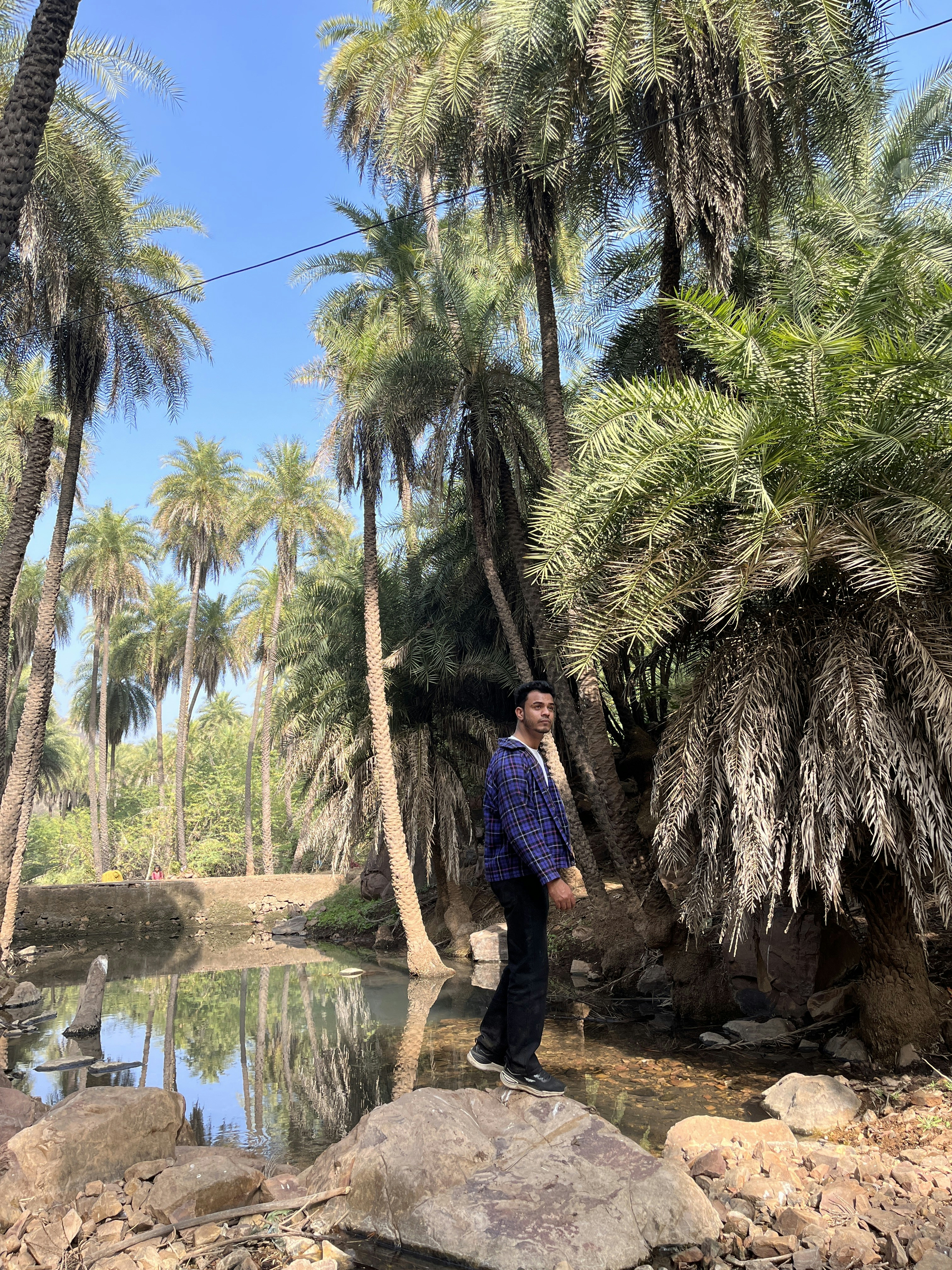 Man standing by a calm stream in a palm forest.
