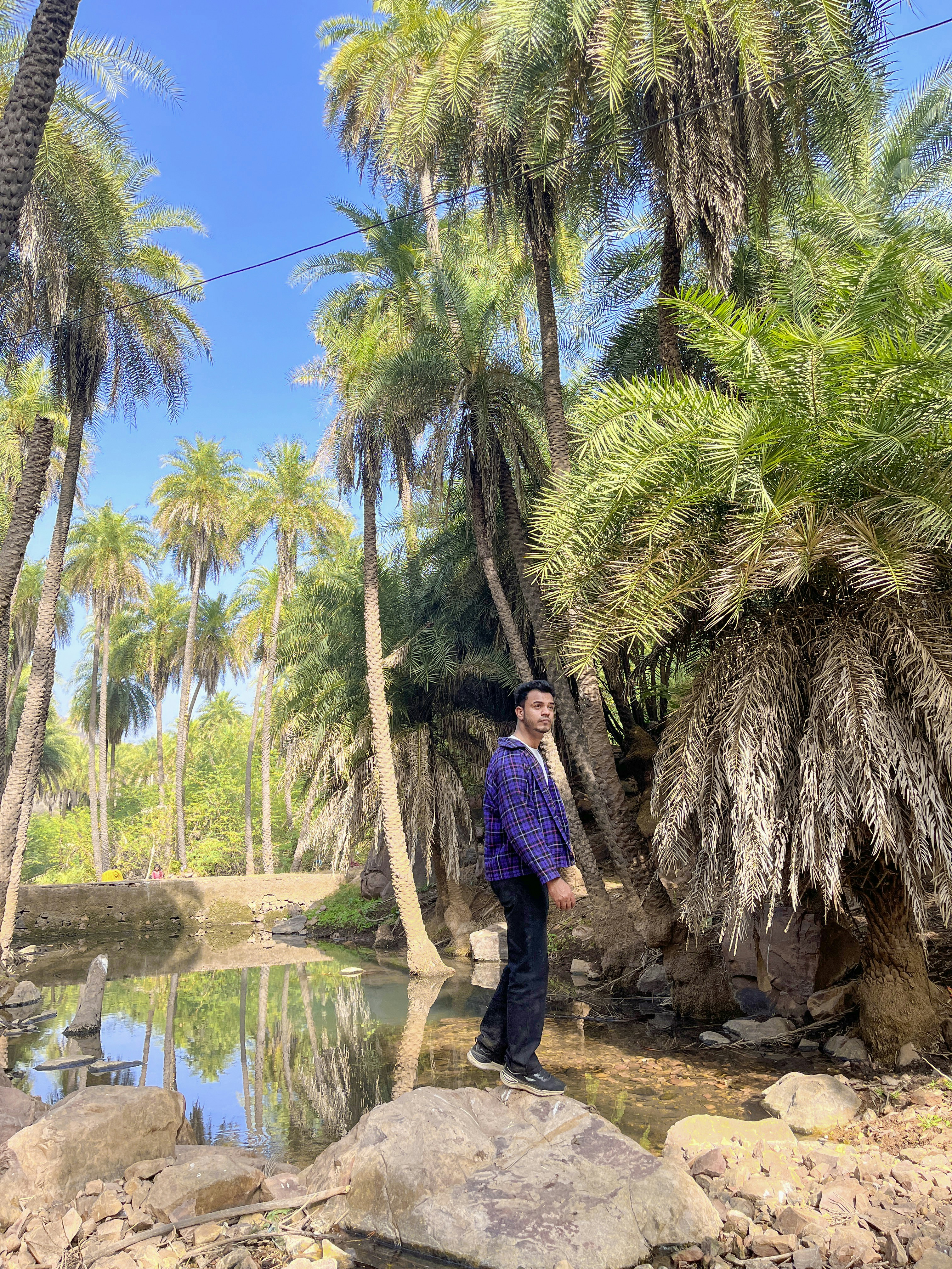 Serene Reflections Amidst Tropical Tranquility