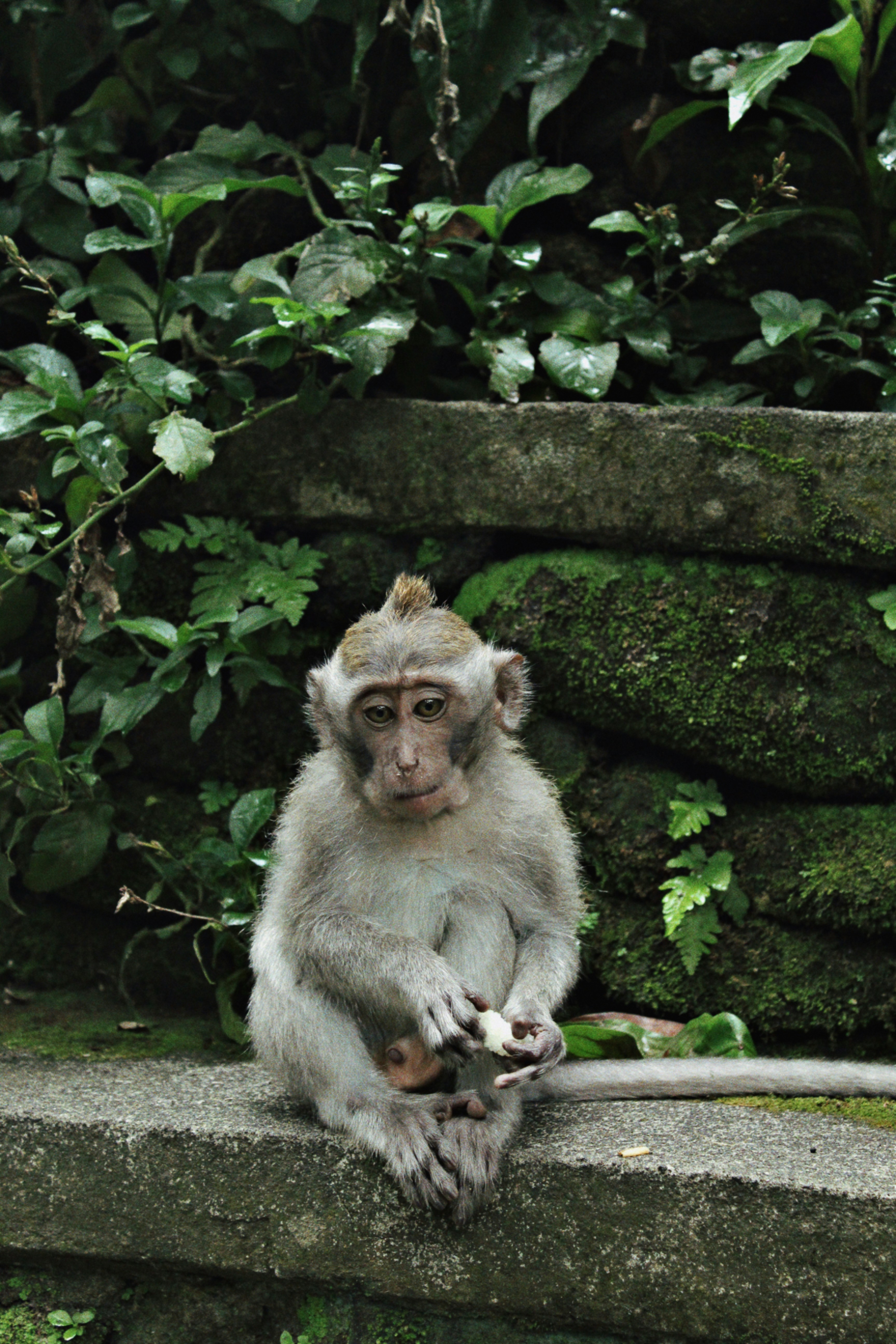 Contemplative Moments in the Wild