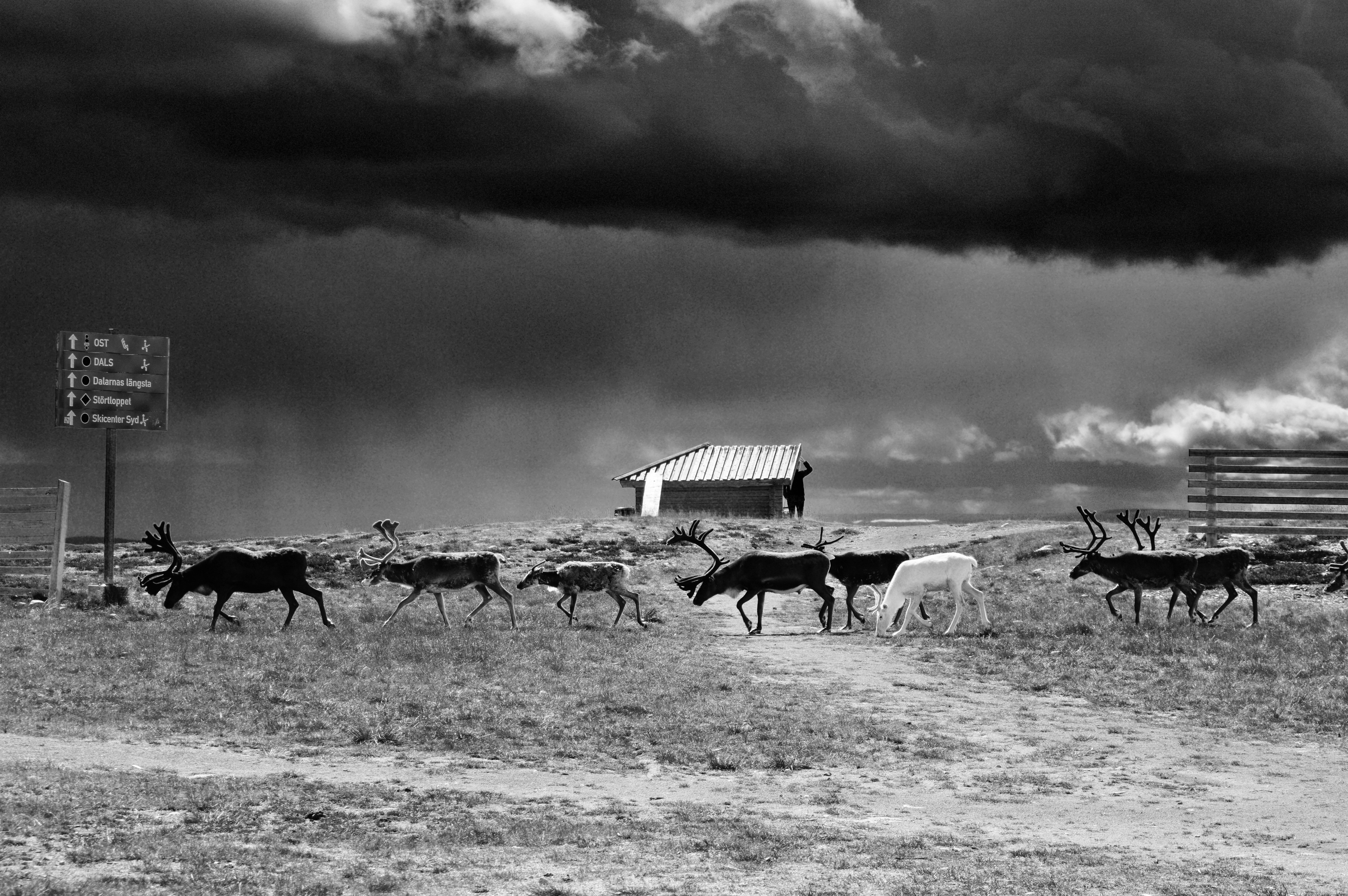 Ruby Khoesial (@thizisruby) | Komunitas Foto Unsplash