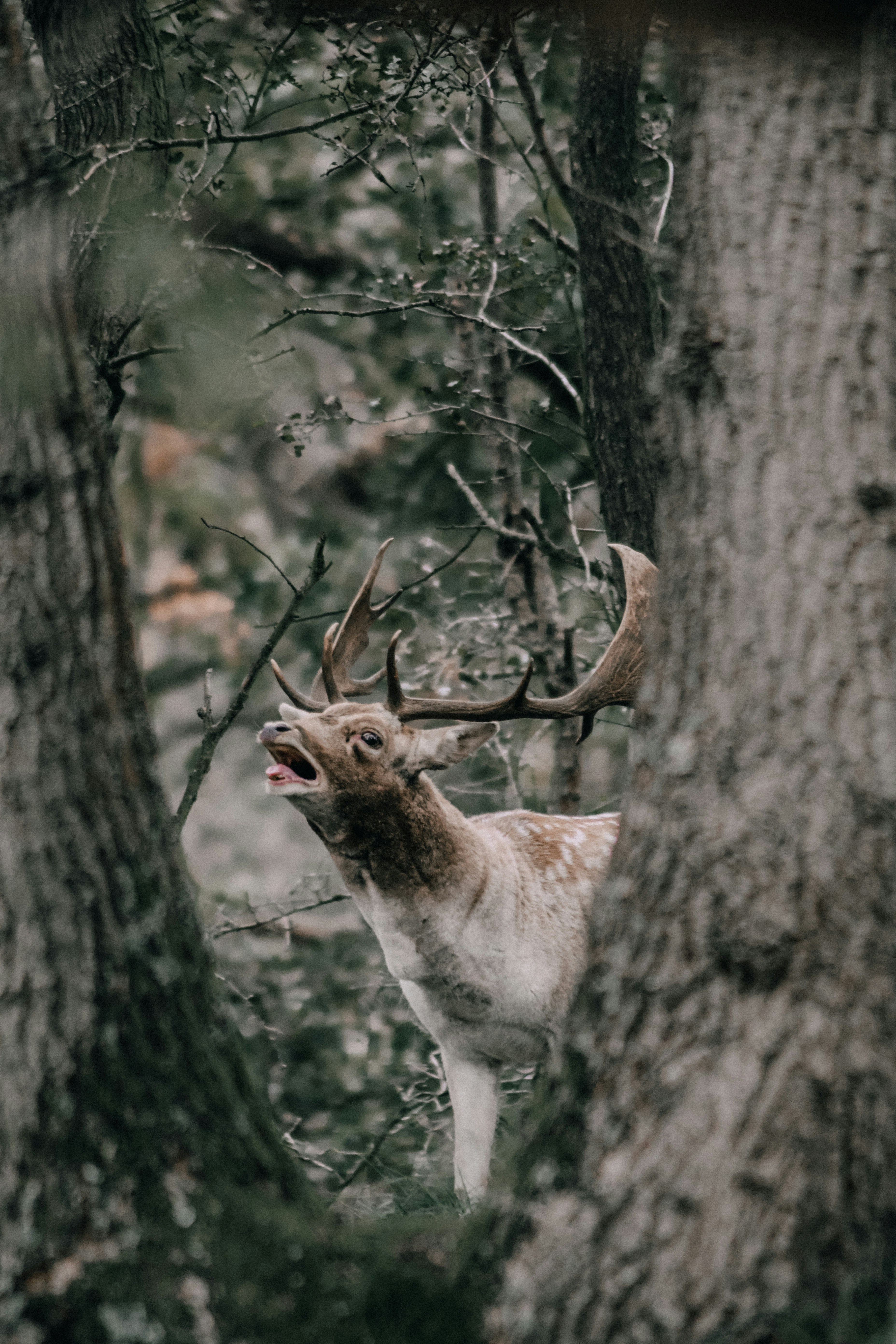 Ruby Khoesial (@thizisruby) | Komunitas Foto Unsplash