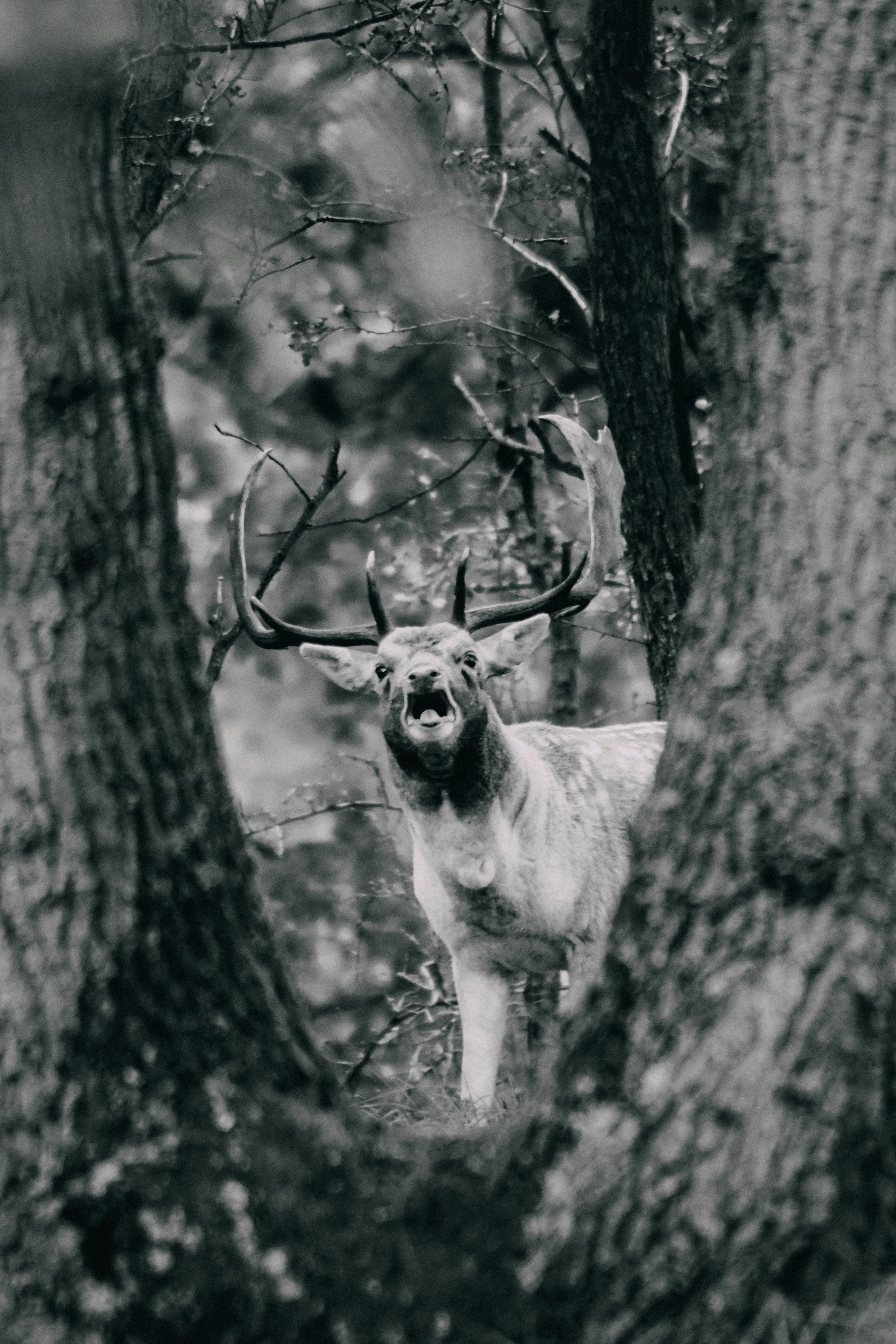 Ruby Khoesial (@thizisruby) | Komunitas Foto Unsplash